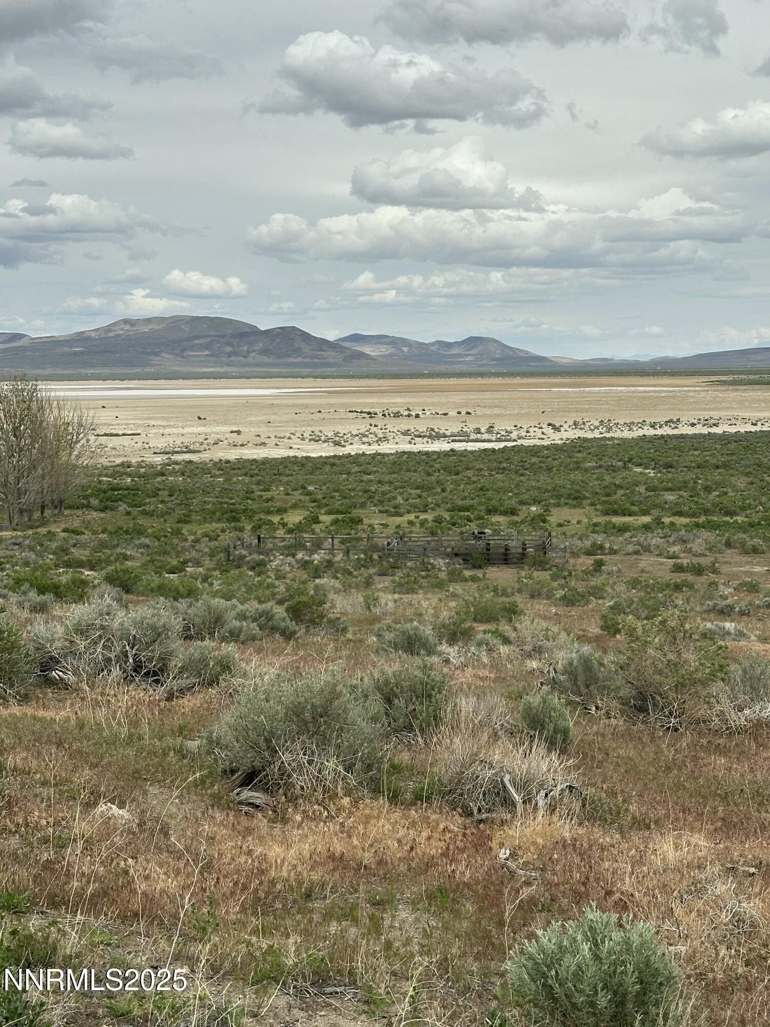 Fish Springs Road, Reno, NV 89510 | MLS: 250050465 | LandWatch