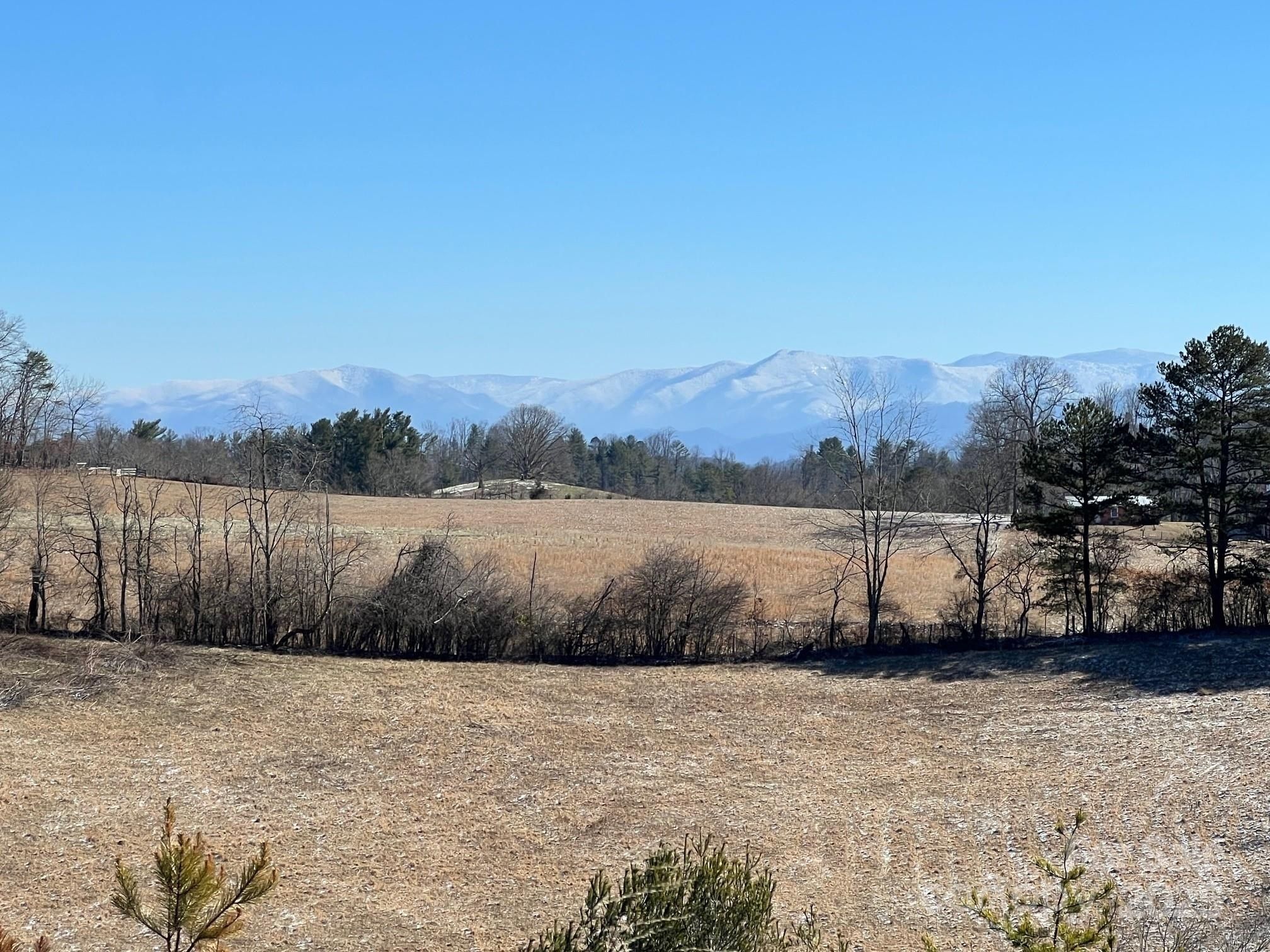 7550 Meadows Town Road, Marshall, NC 28753 | MLS: 4222537 | LandWatch