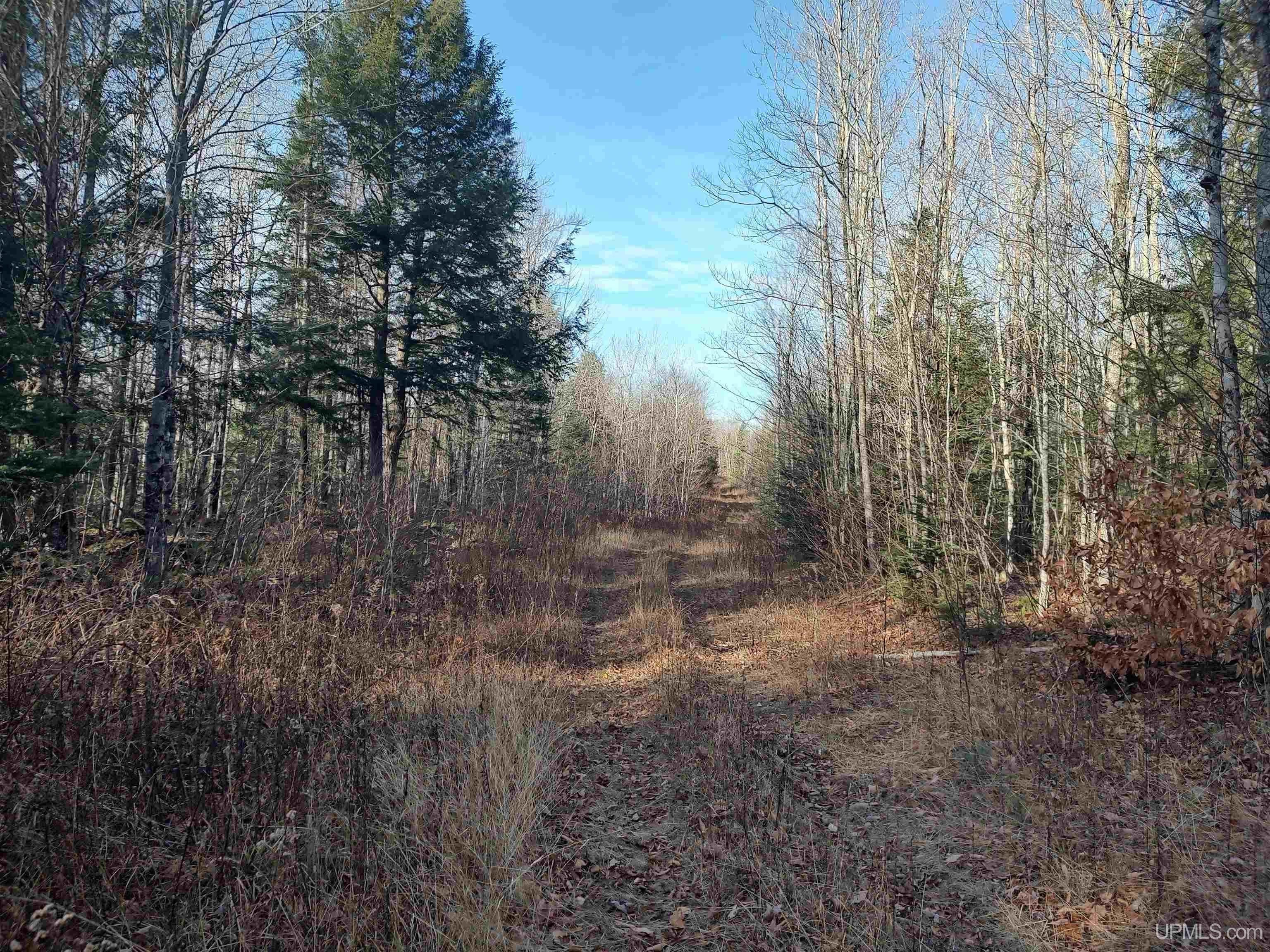 TBD Billie Helmer, Deerton, MI 49822 | MLS: 50184509 | LandWatch