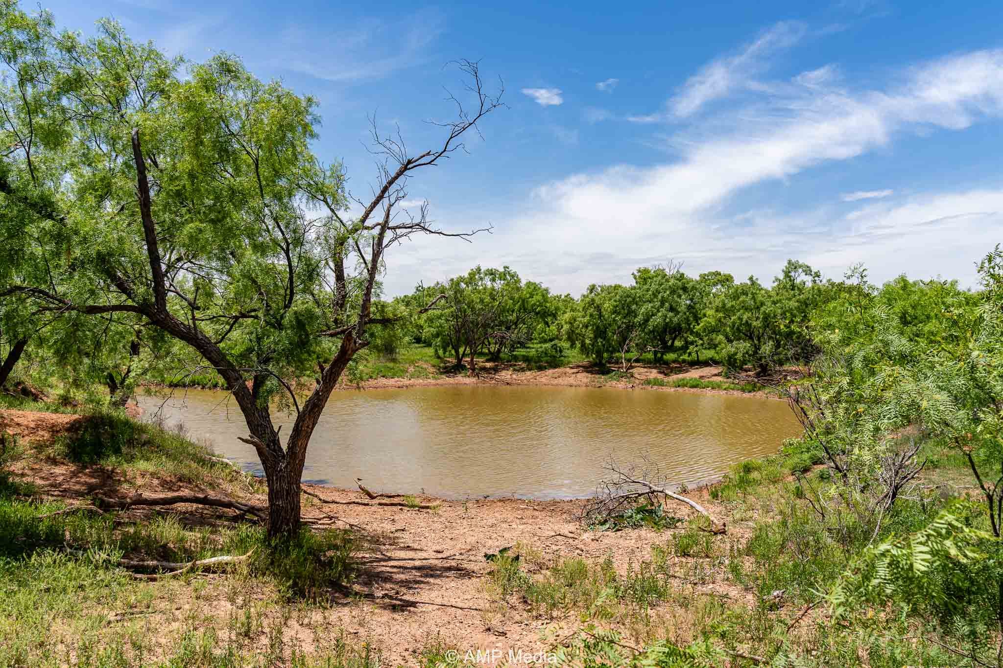 XGHJ+WR Rotan, TX, Rotan, TX 79546 | LandWatch