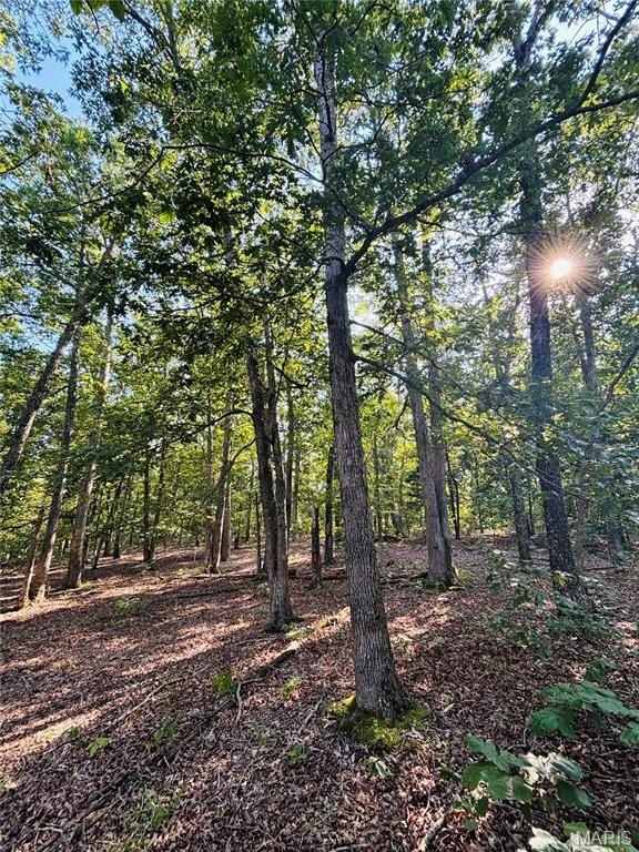 Tbd County Road 2330, Salem, MO 65560 | MLS: 25054256 | LandWatch