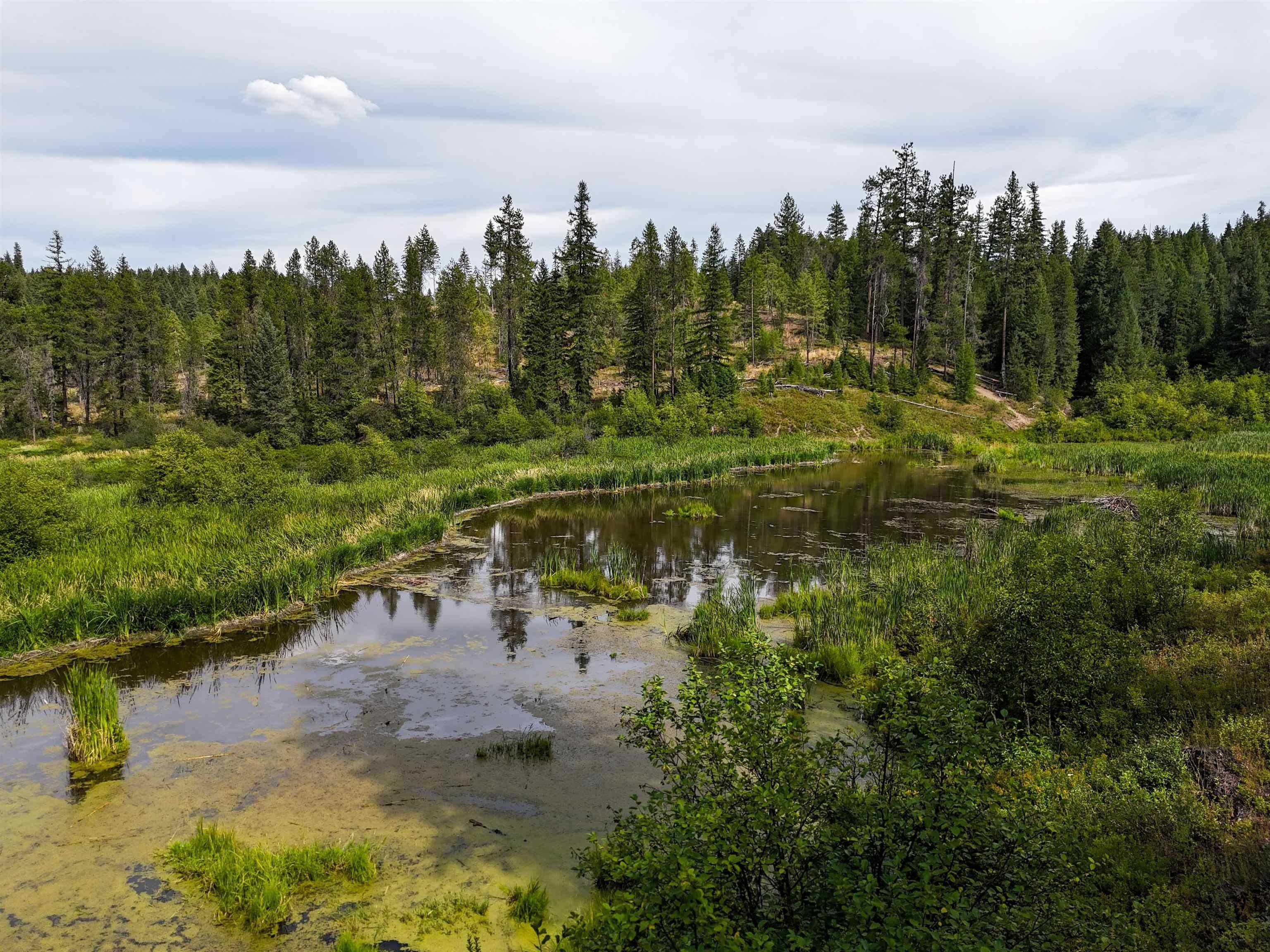 52xx Wagner Rd, Springdale, WA 99173 | MLS: 202522191 | LandWatch