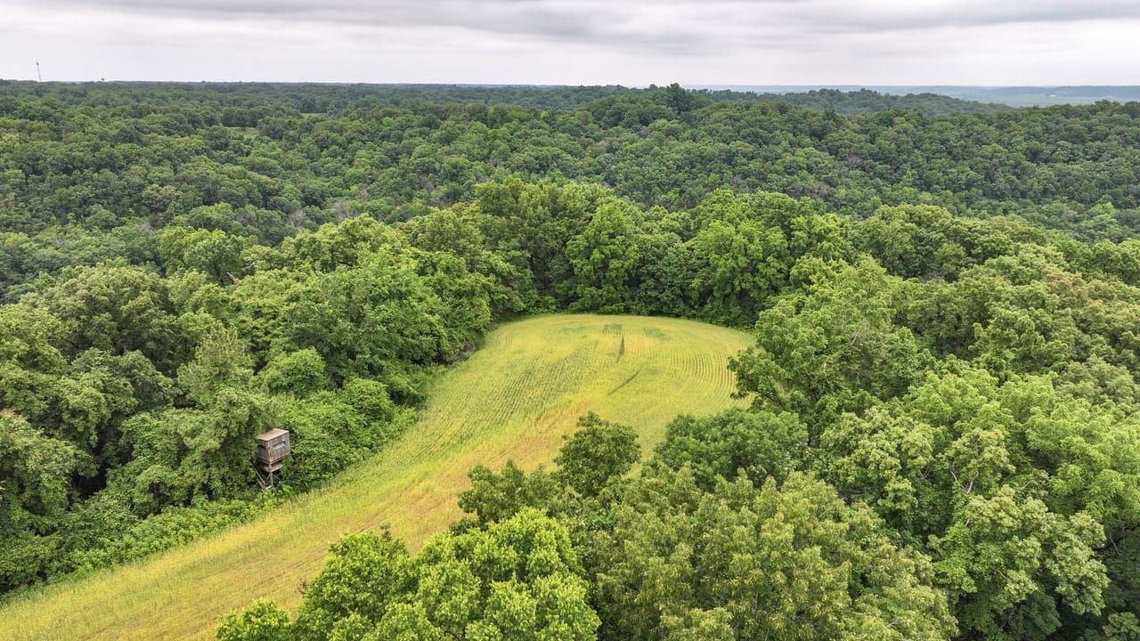 986 Franklin Hill Rd., Batchtown, IL 62006 | LandWatch
