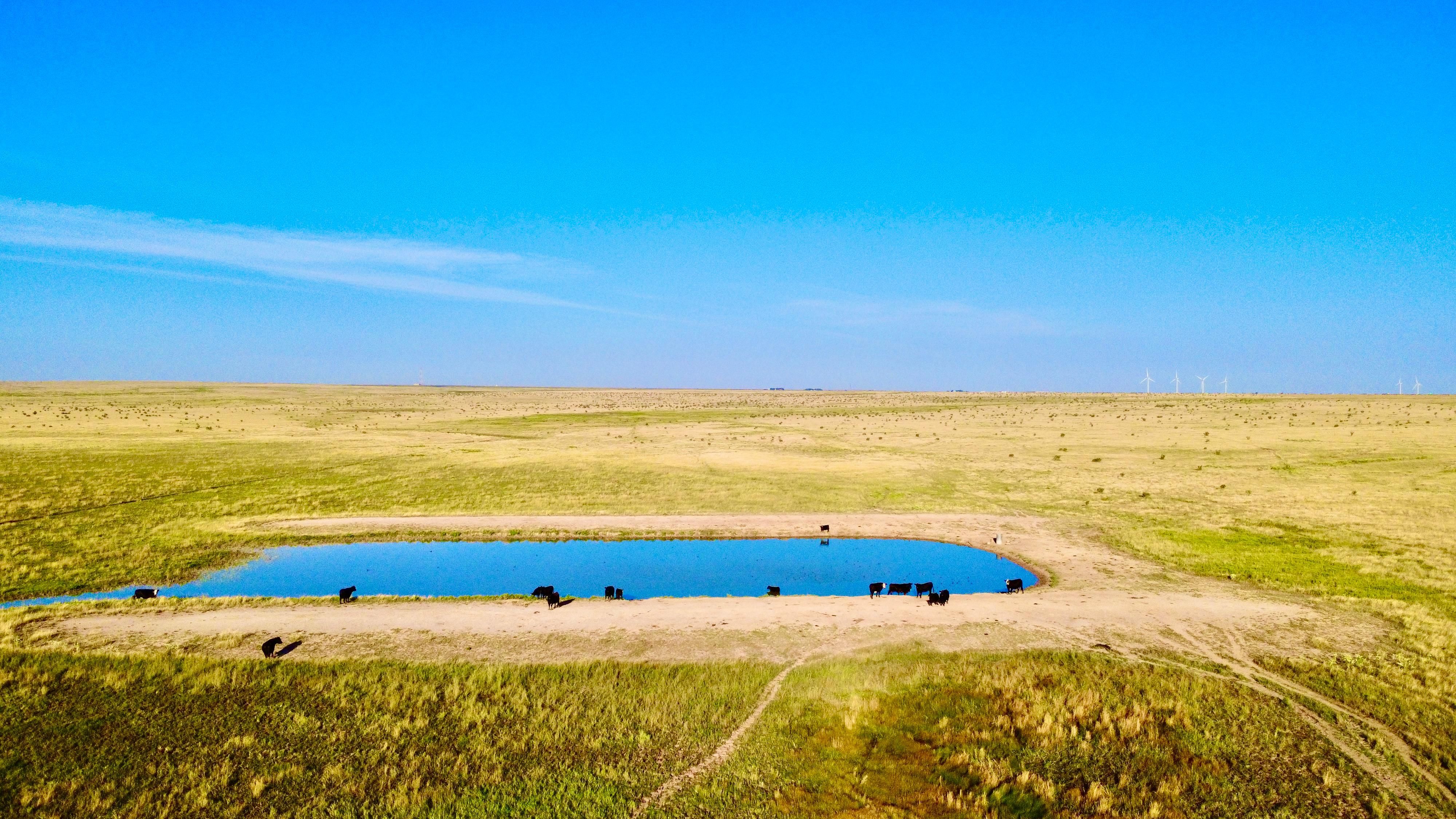 1,478 acres in Adrian, TX, 79001 | LandWatch