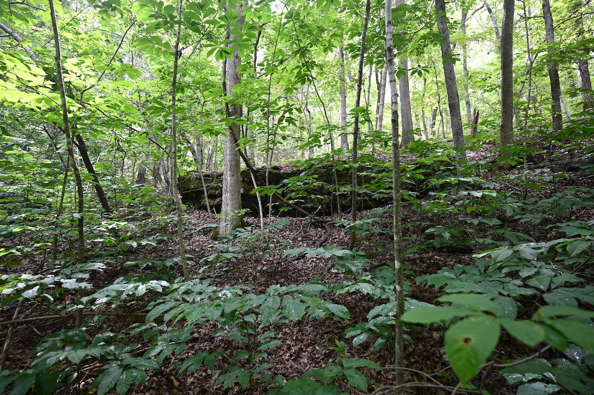 000 Swinging Bridges Road, Montreal, MO 65591 | LandWatch