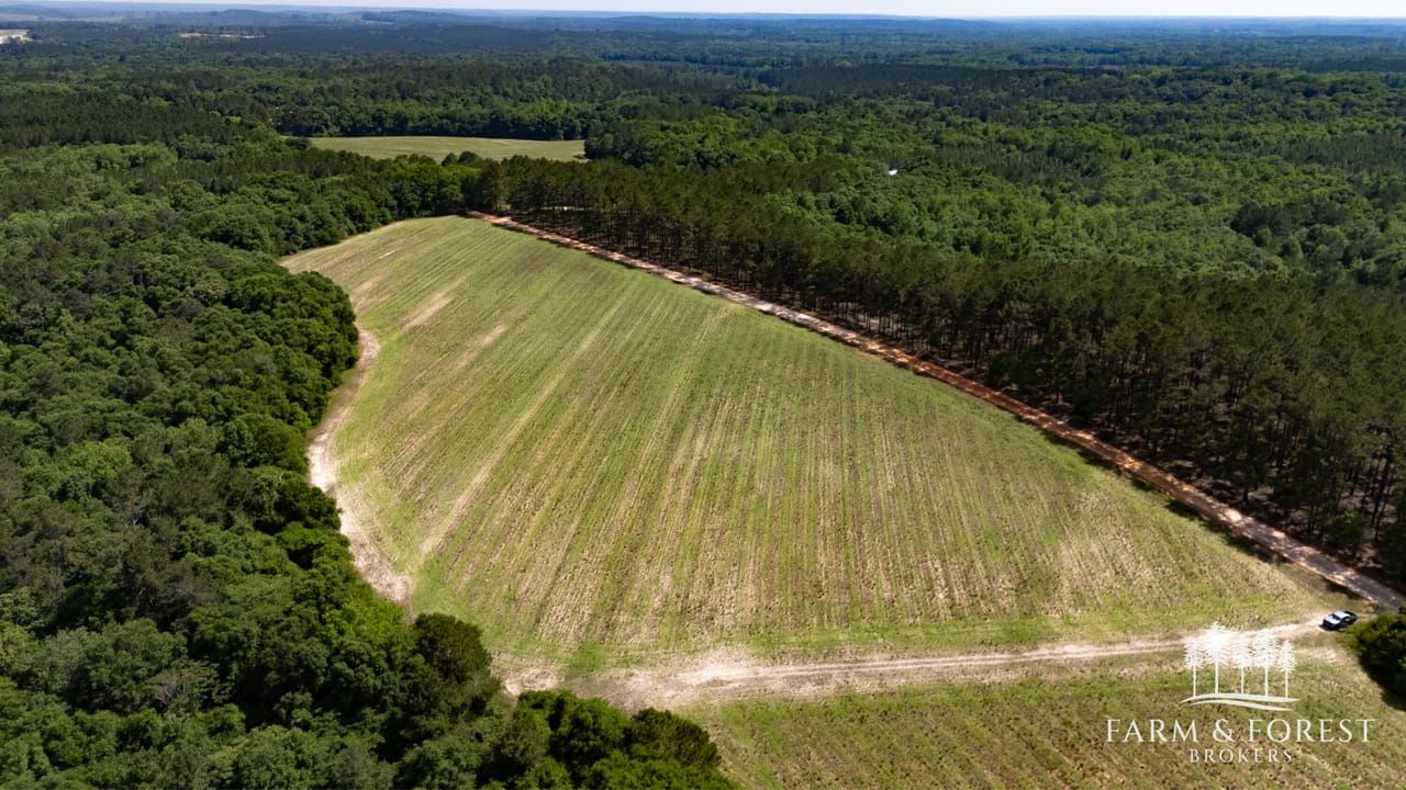 0 County Road 218, Jack, AL 36346 | LandWatch