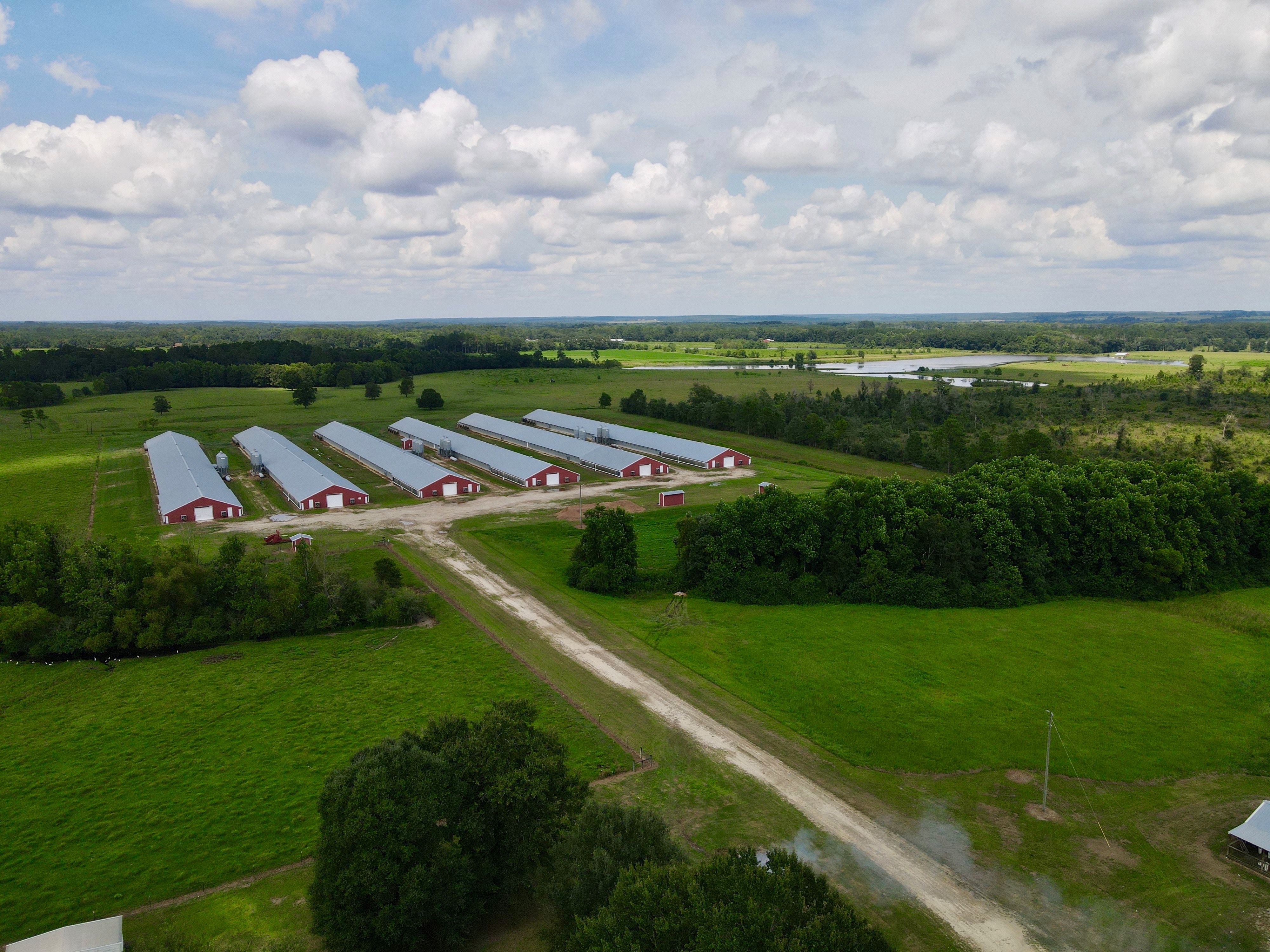 Galberry Road, Kinston, AL 36453 | LandWatch