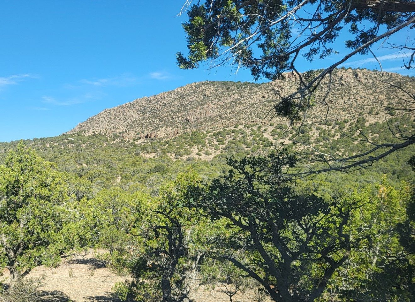 Parcel 49 Marvel Way Westwood Ranch, Bishop Place, AZ 86320 | LandWatch