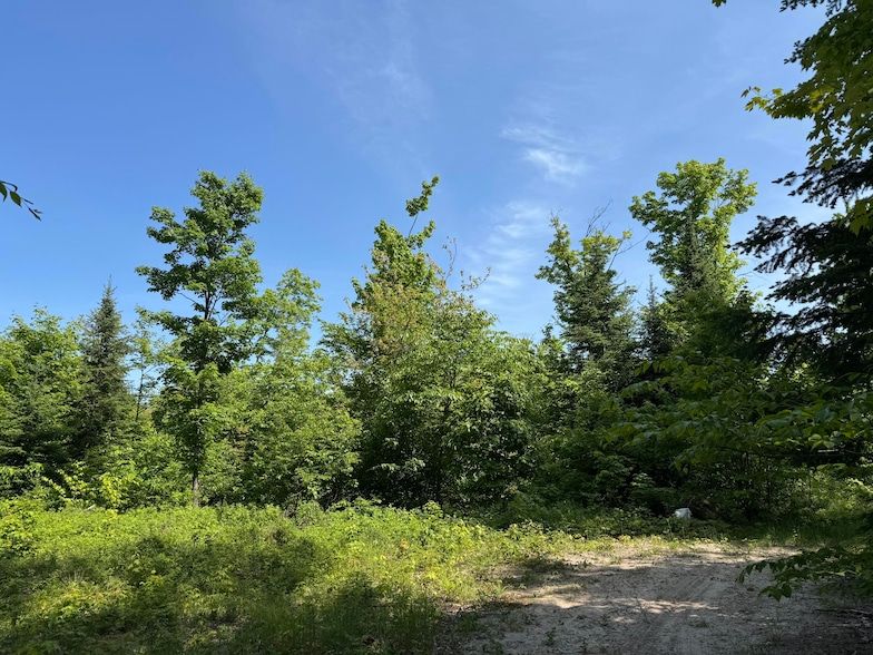 0 W Piatt Lake Road, Eckerman, MI 49728 | MLS: 25-503 | LandWatch
