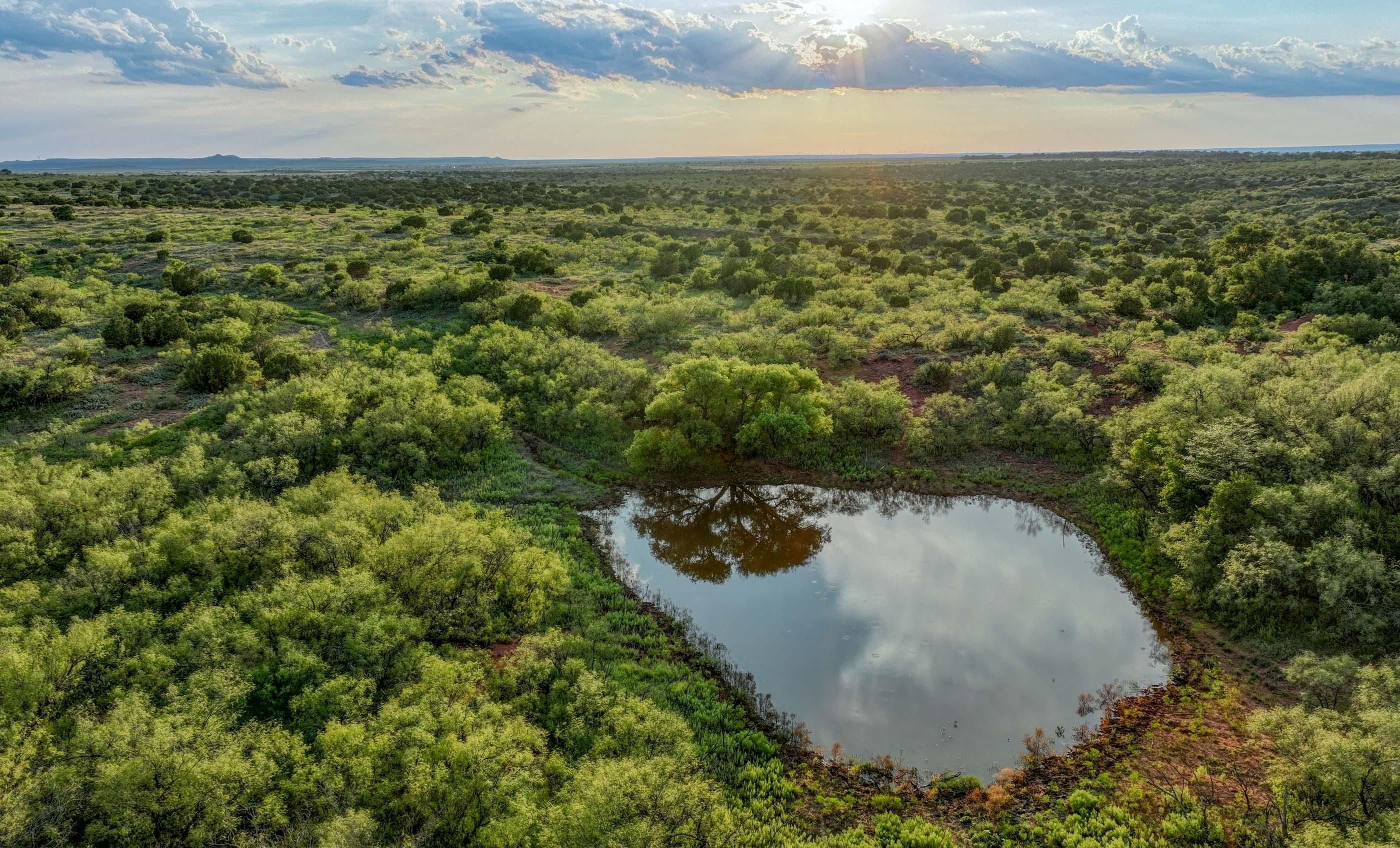 630 acres in Flomot, TX, 79234 | LandWatch