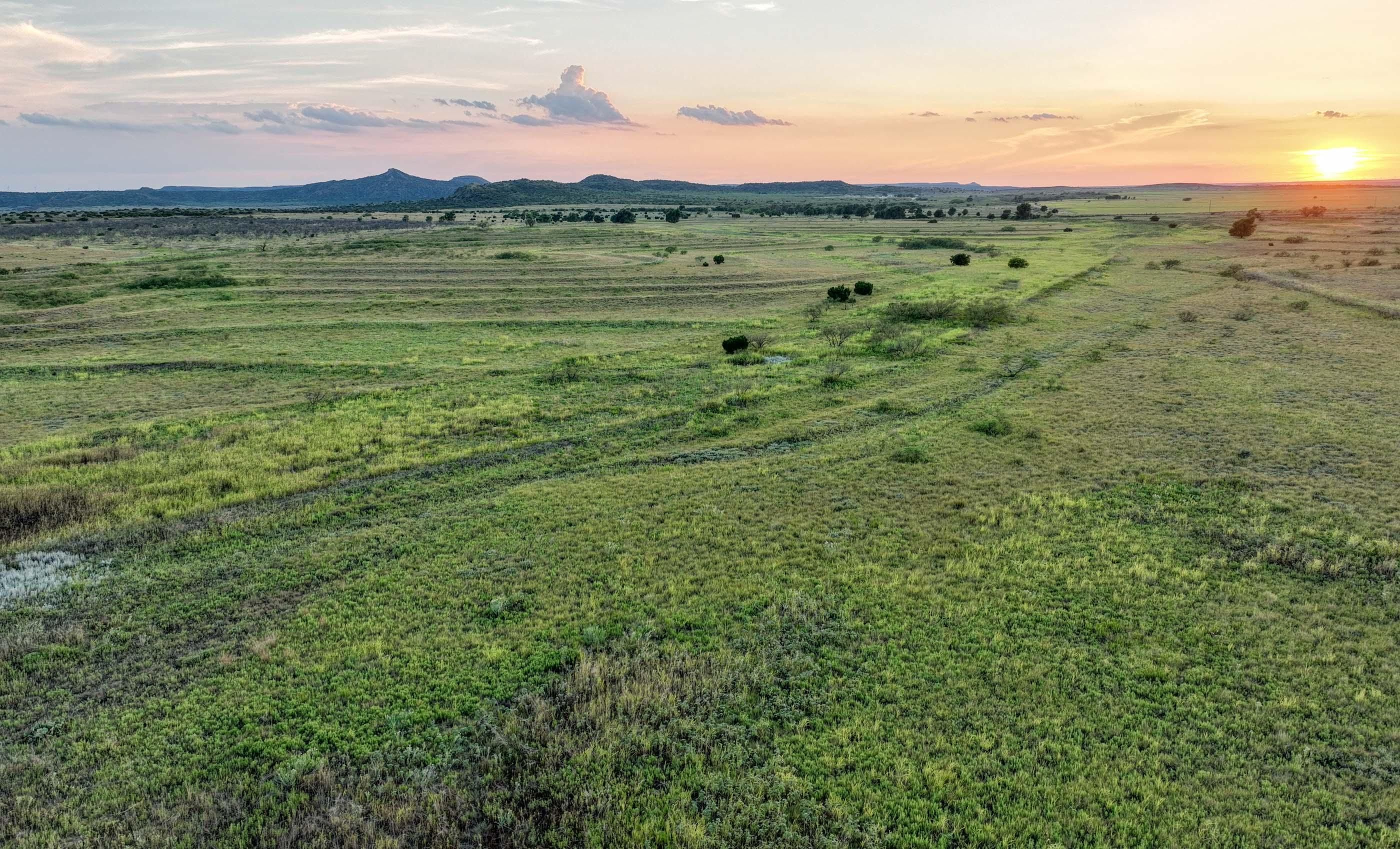 220 acres in Flomot, TX, 79234 | LandWatch