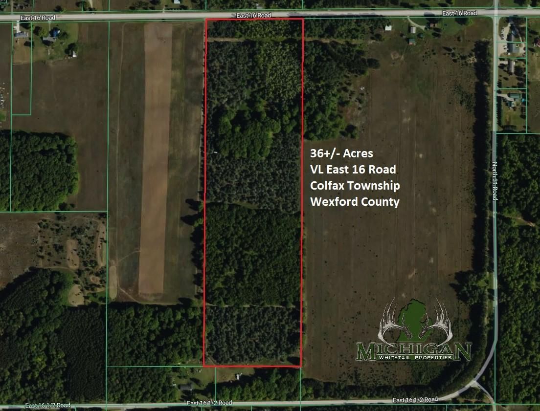 VL E 16 Road, Manton, MI 49663 | MLS: VL E 16 Road - 36 Acres | LandWatch