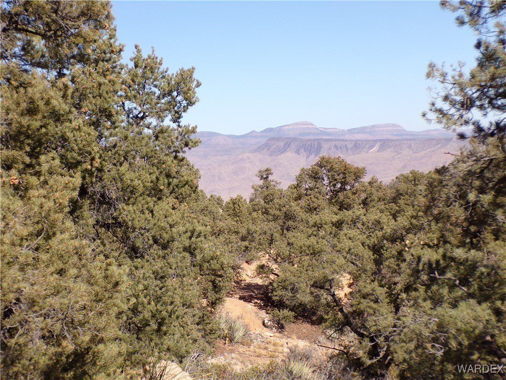Trap Springs lot: 170, Hackberry, AZ 86411 | MLS: 022548 | LandWatch