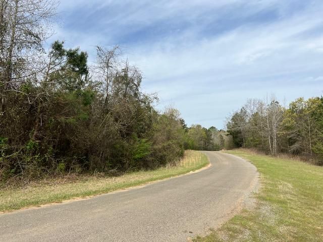 Cato Road, Athens, LA 71003 | LandWatch