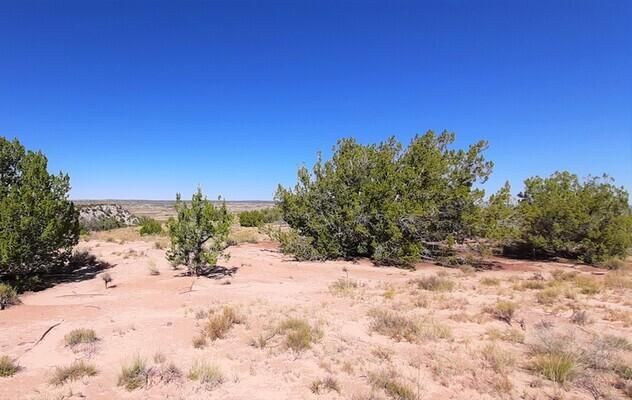 N7350, Sanders Unified District, AZ, Chambers, AZ 86512, Sanders, AZ ...