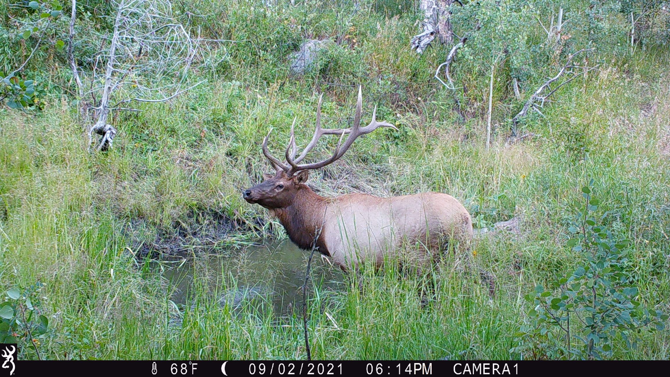 TBD Old Flowers Road, Bellvue, CO 80512 | LandWatch