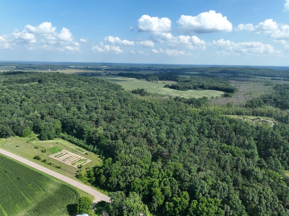 E853 Bestul Rd., Scandinavia, WI 54977 | LandWatch