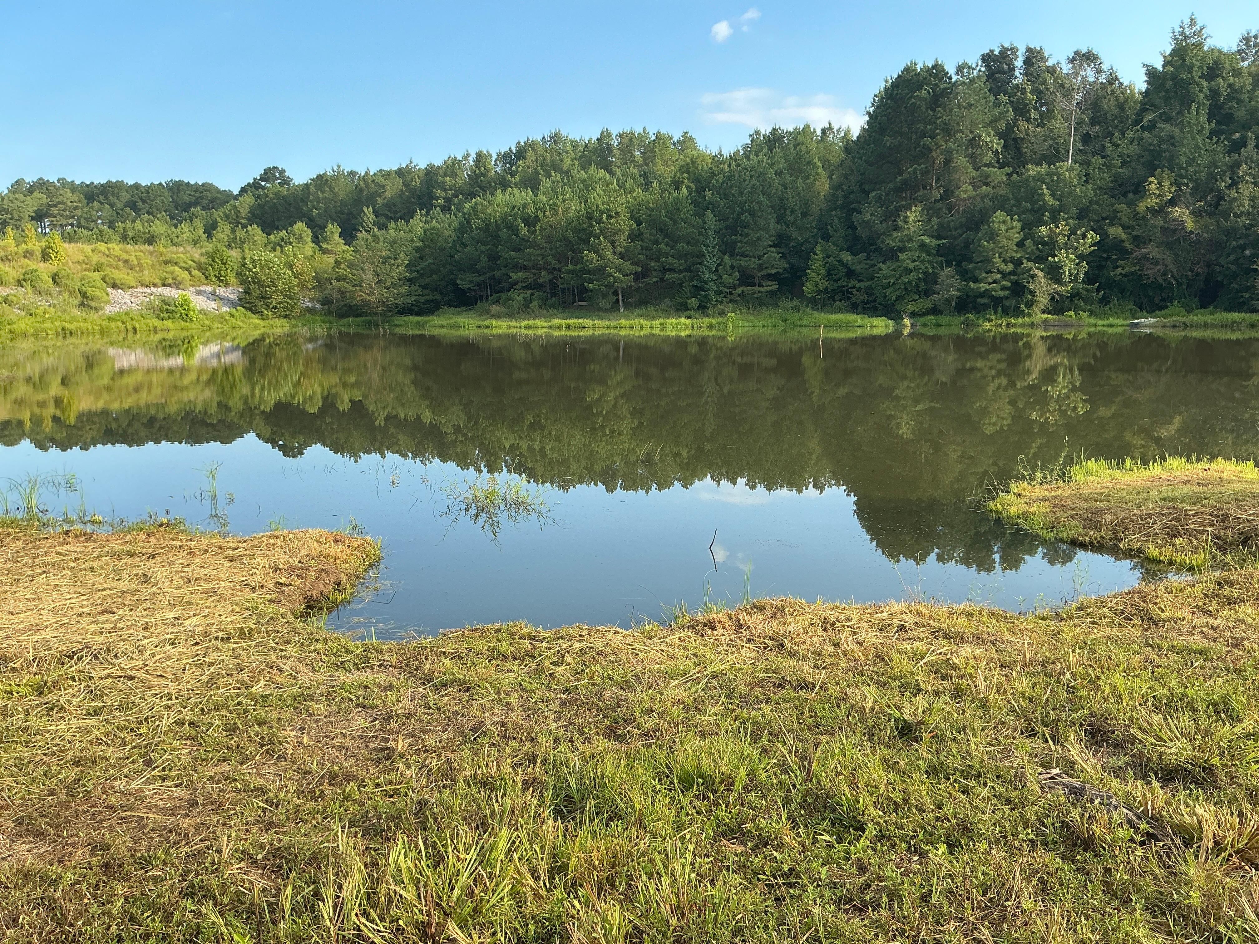 190 acres in Lexington, MS, 39095 | LandWatch