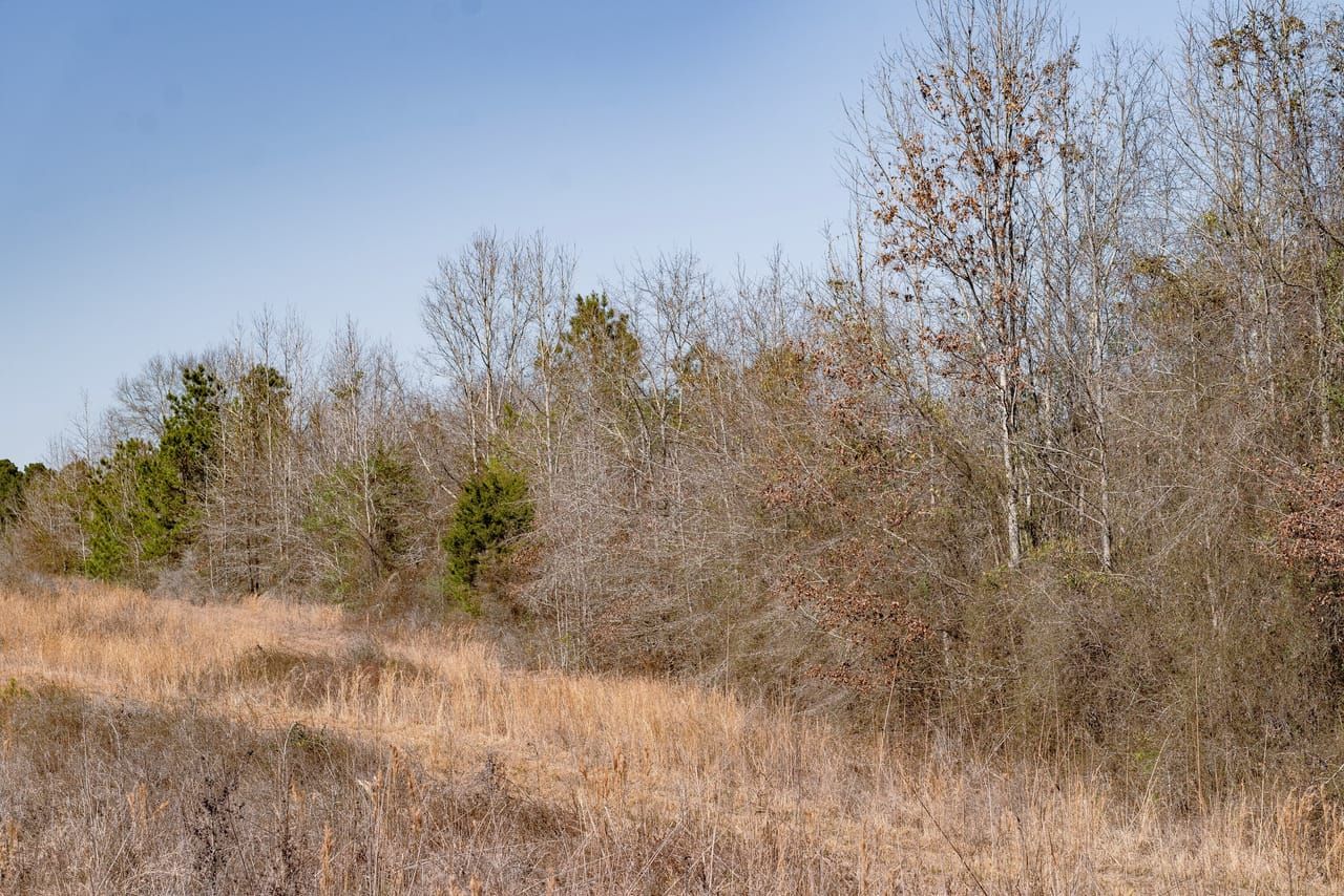 China Grove Road, Ruston, LA 71270 | LandWatch