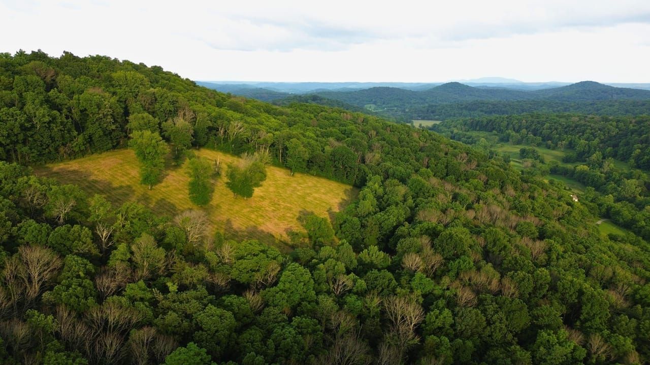 1291 Johnson Hollow Rd, Watertown, TN 37184 | MLS: 2899925 | LandWatch