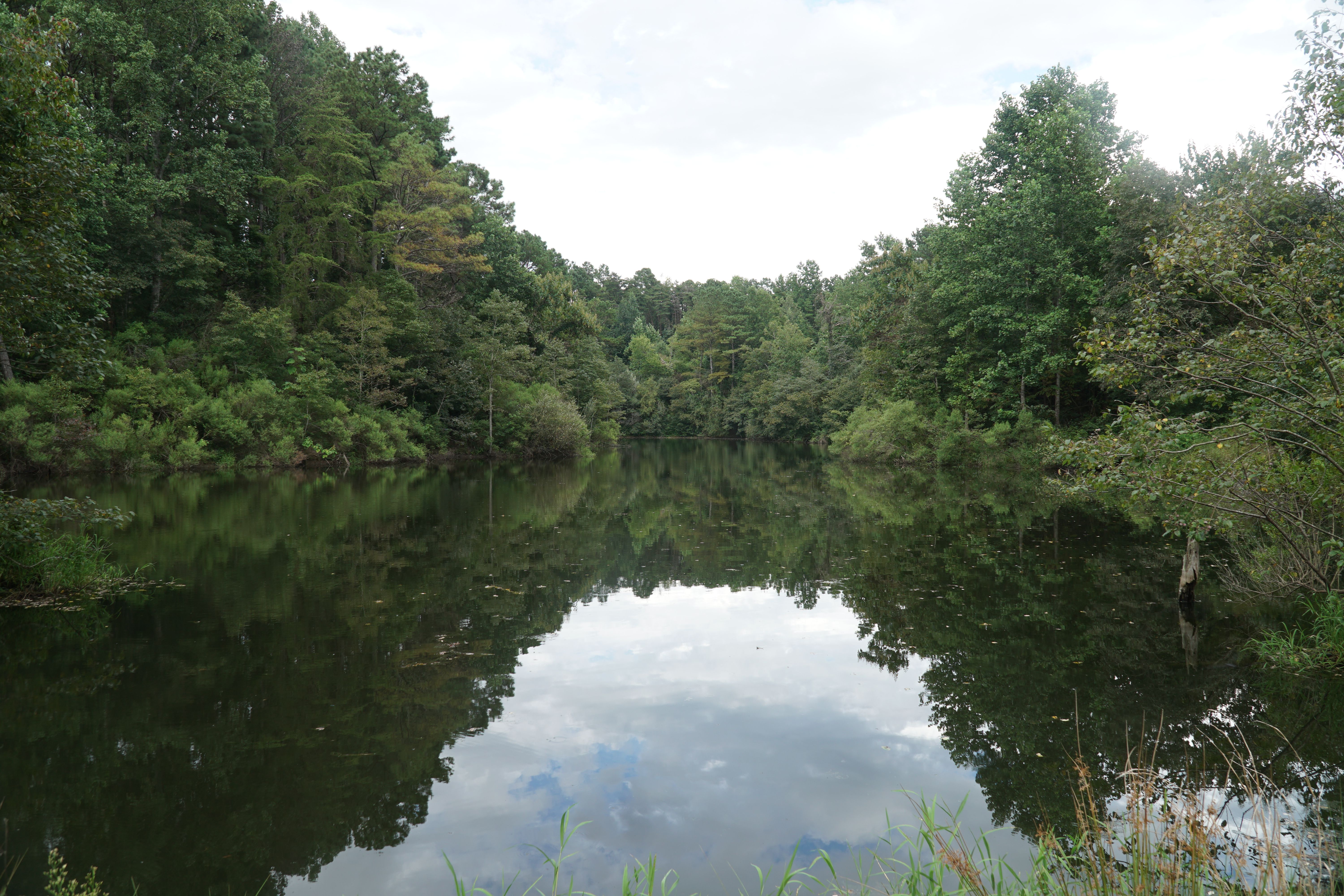 County Road 9, Lynn, AL 35575 | LandWatch