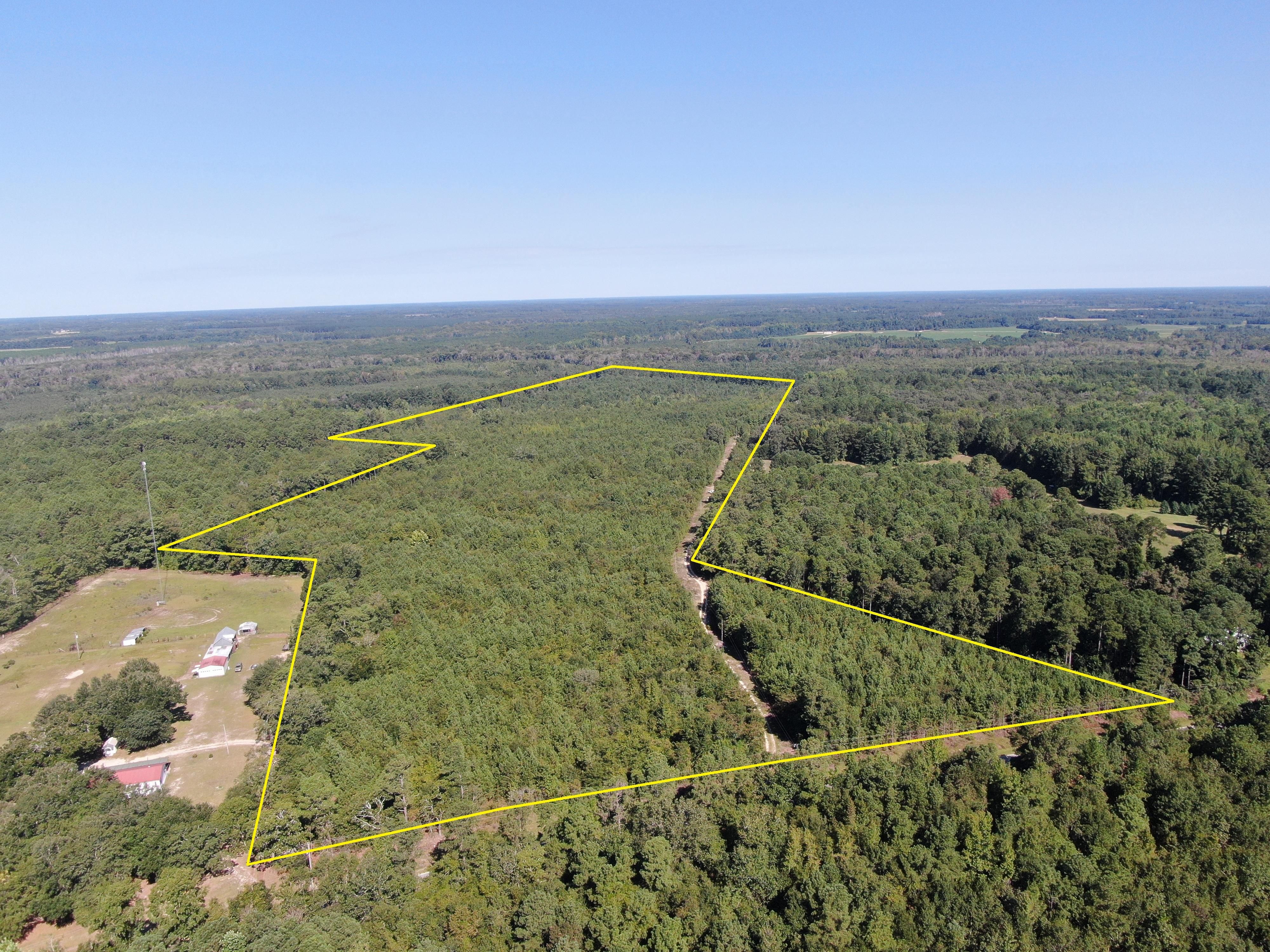 TBD Oakland Road, Hamer, SC 29547 | MLS: 2520953 | LandWatch