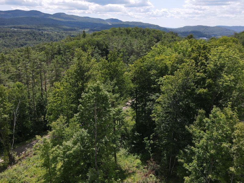 Denio Road, Barnet, VT 05819 | LandWatch