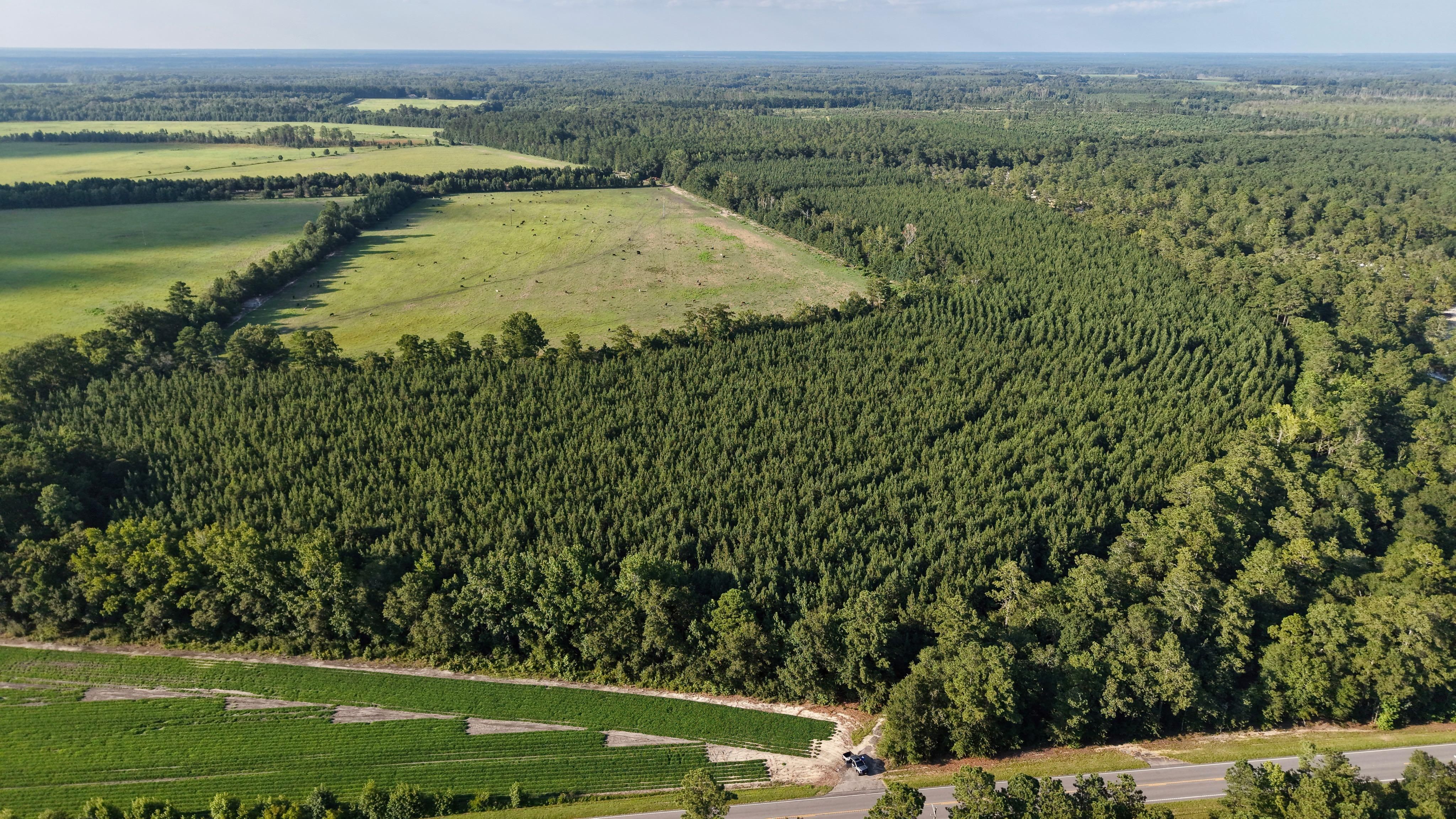 151.7 acres in Blackville, SC, 29817 | LandWatch