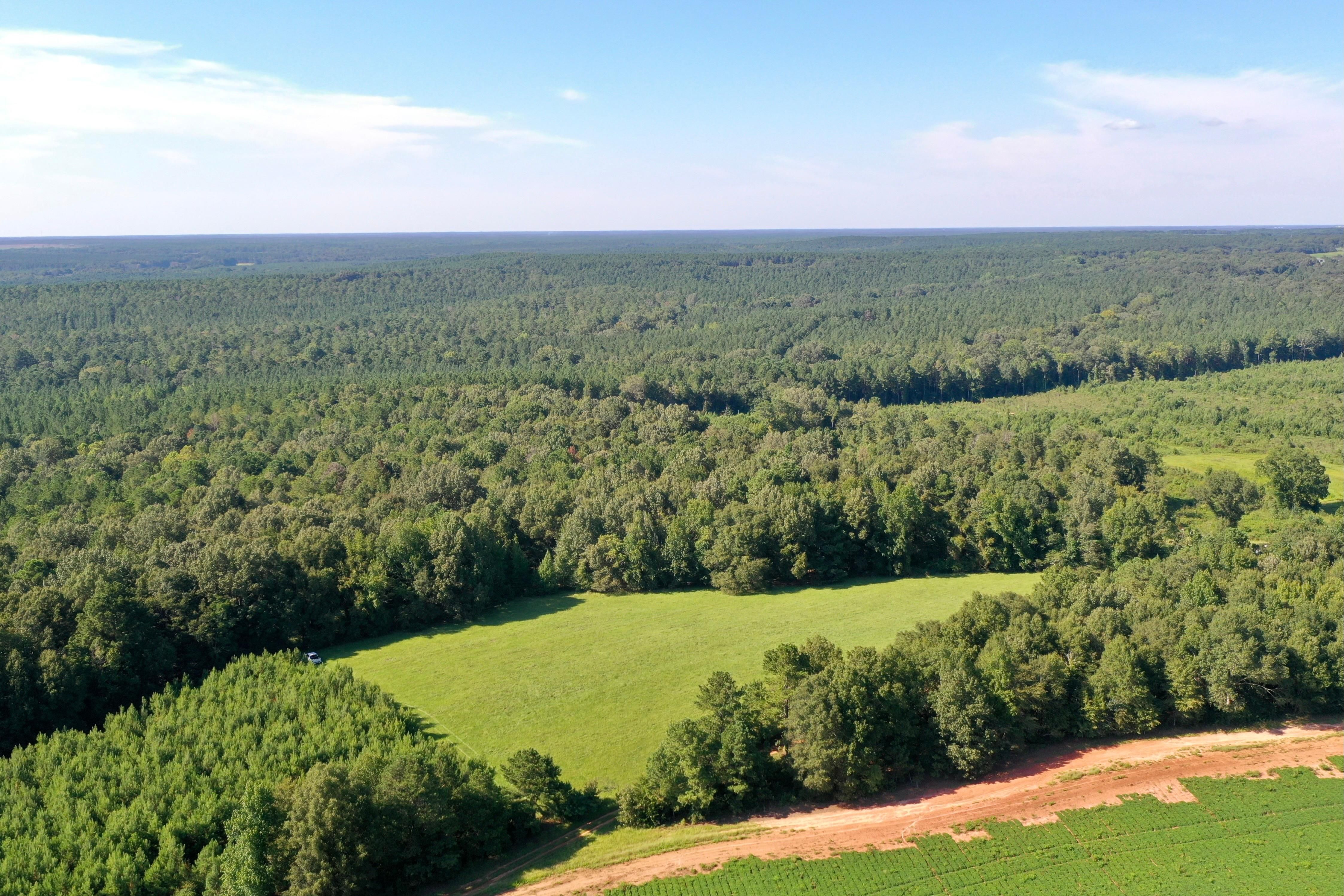 22 acres in Montezuma, GA, 31063 | LandWatch