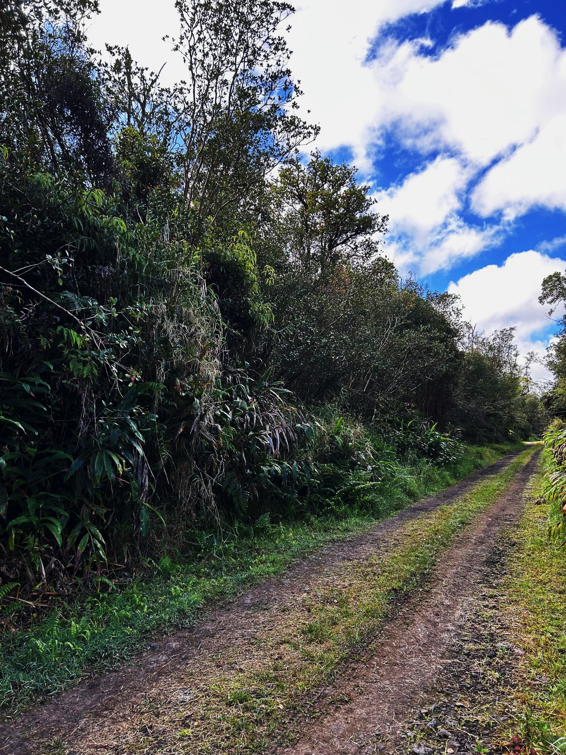 15th Rd, Mountain View, HI 96771 | LandWatch