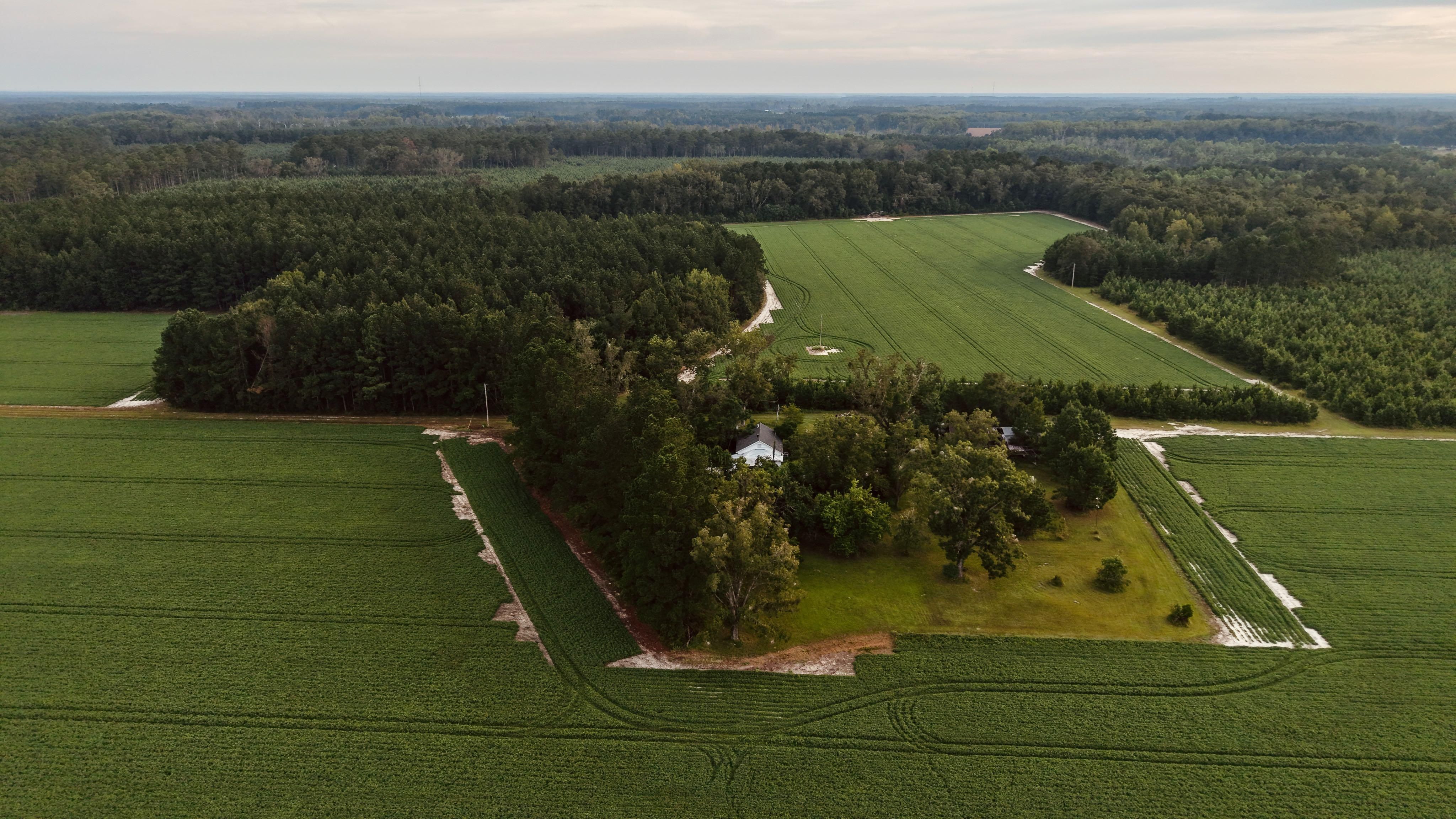 5655 2 Sisters Ferry Road, Estill, SC 29918 | LandWatch