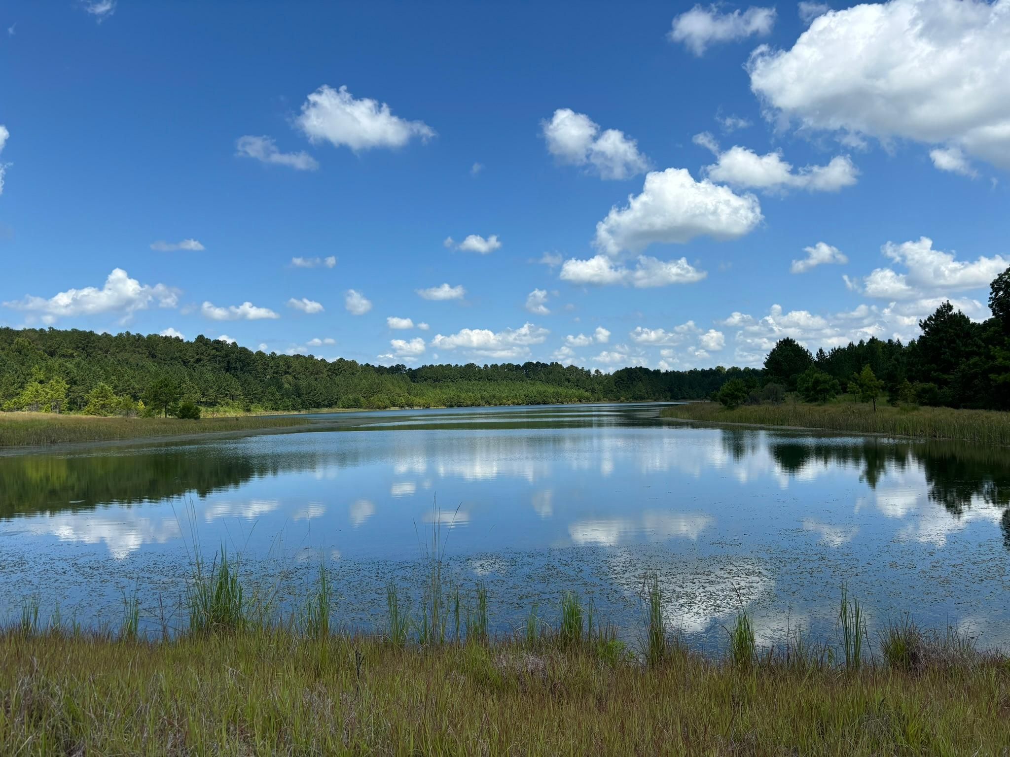 101 acres in Climax, GA, 39834 | LandWatch