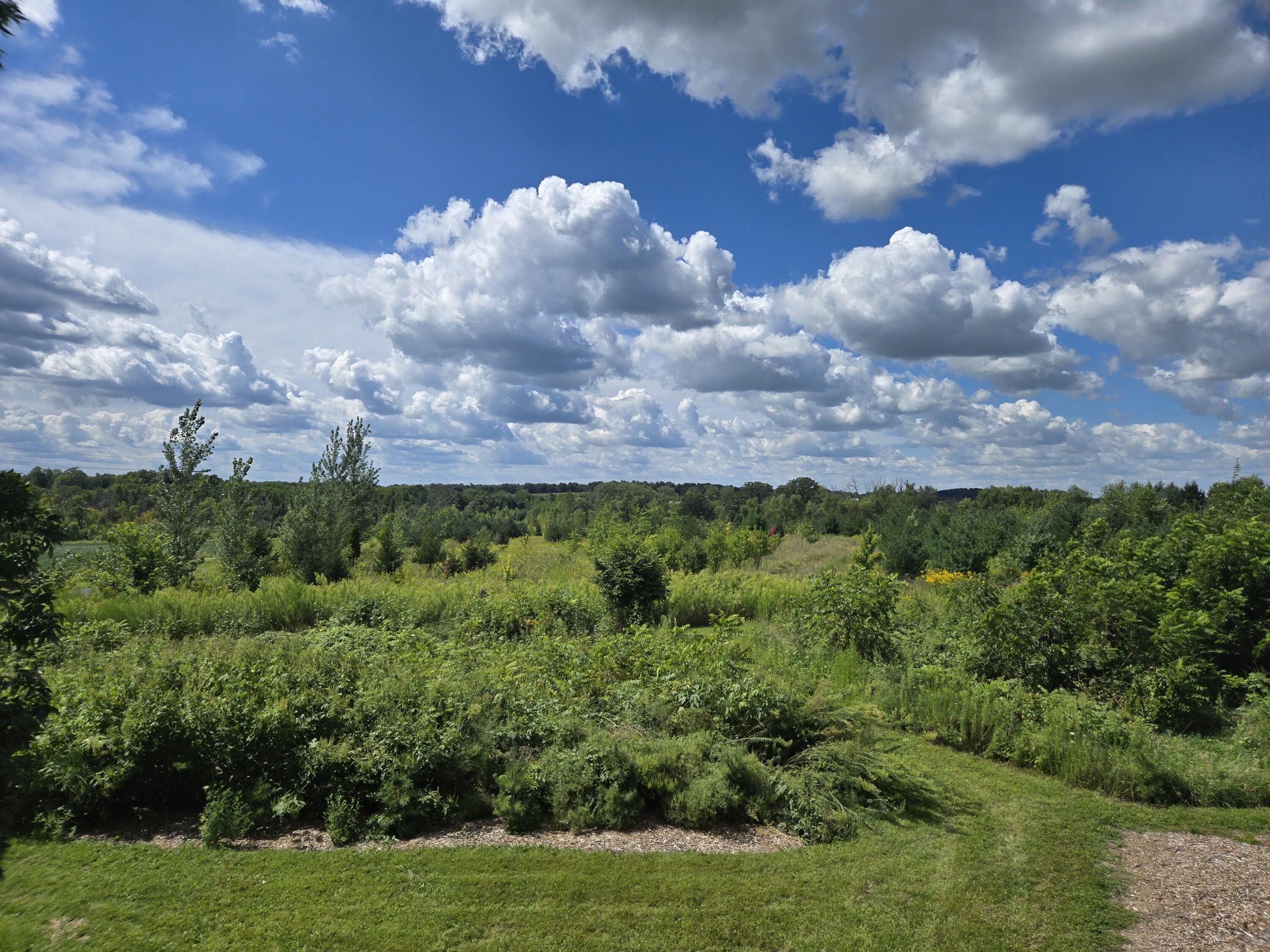 W2344 Rome Rd, Helenville, WI 53137 | MLS: 1933268 | LandWatch