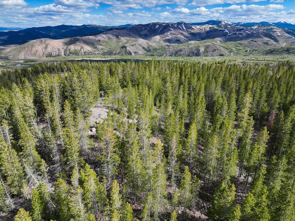 TBD Silver Creek Trail, Lot#WP001, Anaconda, MT 59711 | LandWatch