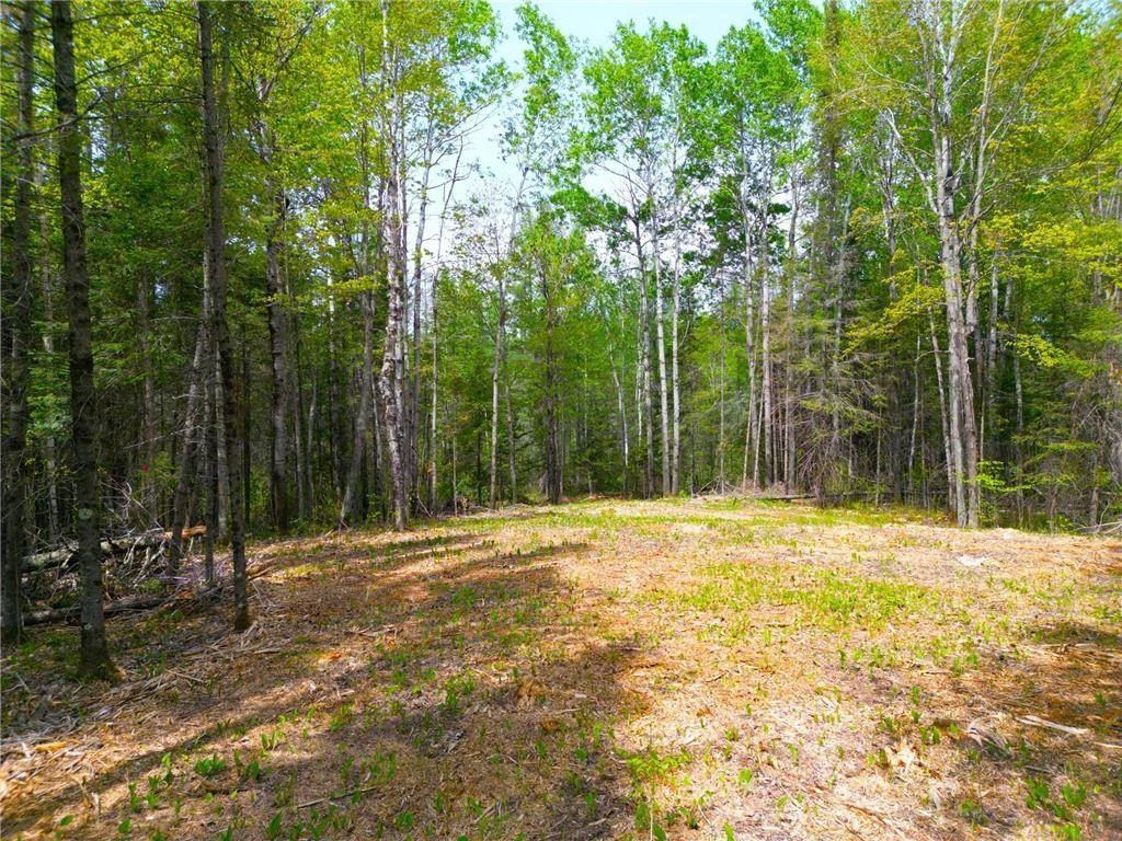 72xx E Central Lakes Road Lot G, Eveleth, MN 55734 | MLS: 6725037 ...