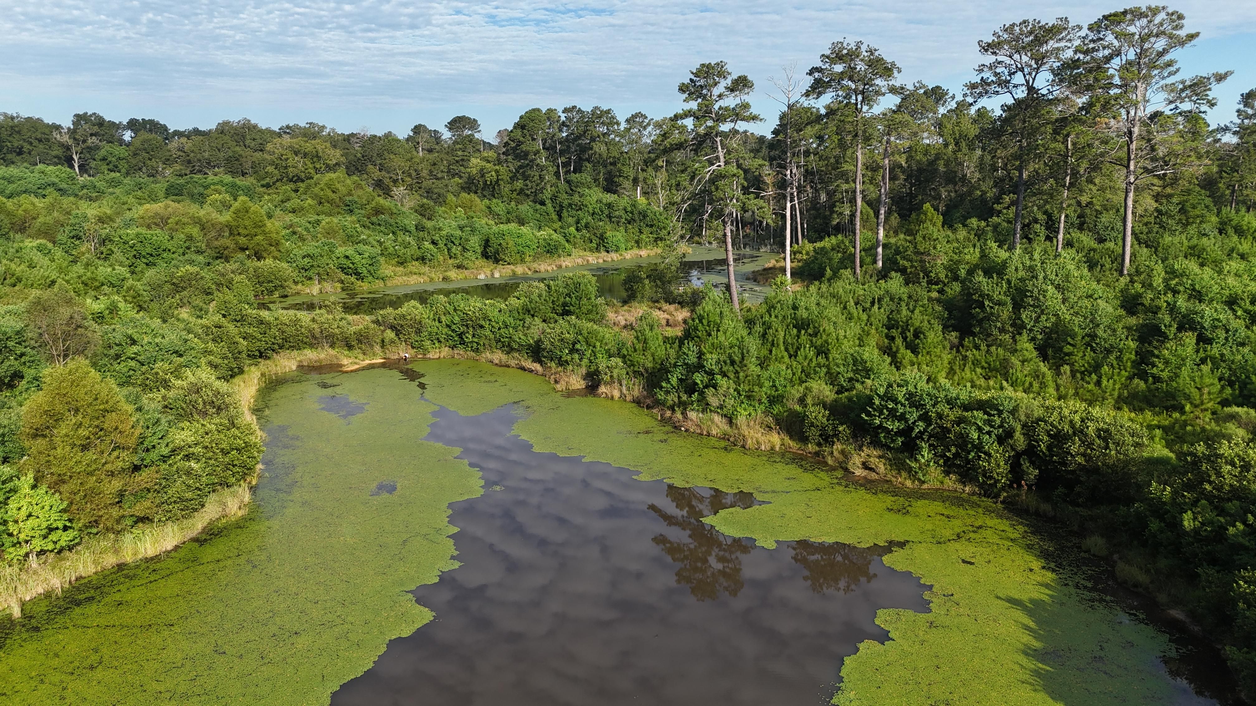 Brantley Hwy, Brantley, AL 36009 | LandWatch