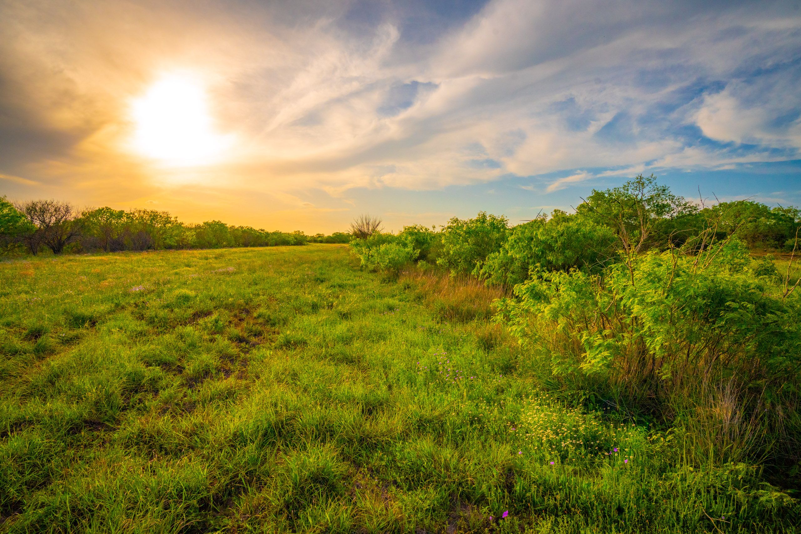 3305 CR 129, Pawnee, TX 78119 | MLS: sabor|1880301 | LandWatch