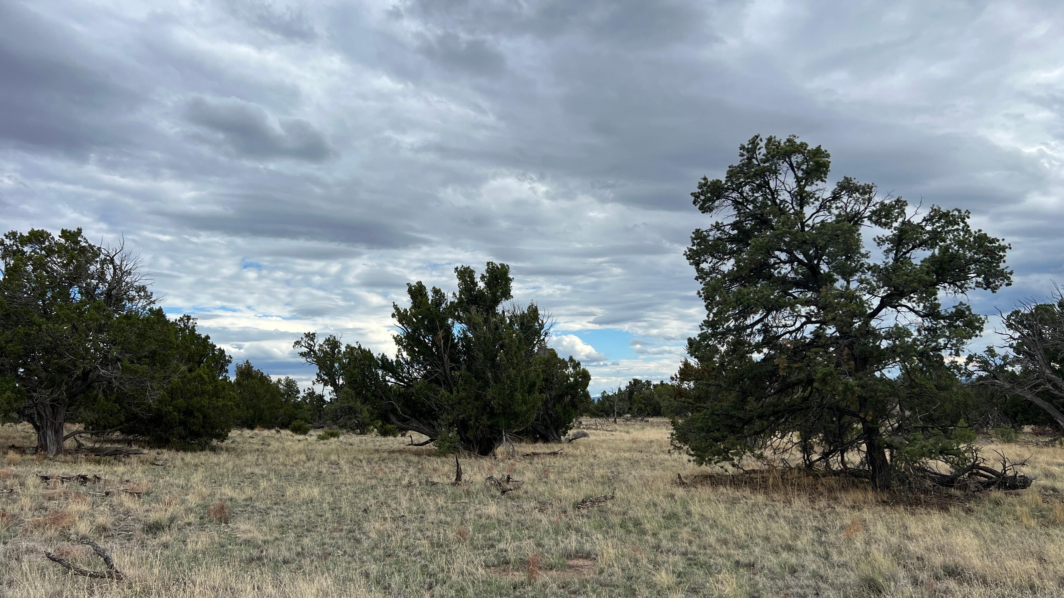 Squaw Pass, Quemado, NM 87829 | LandWatch