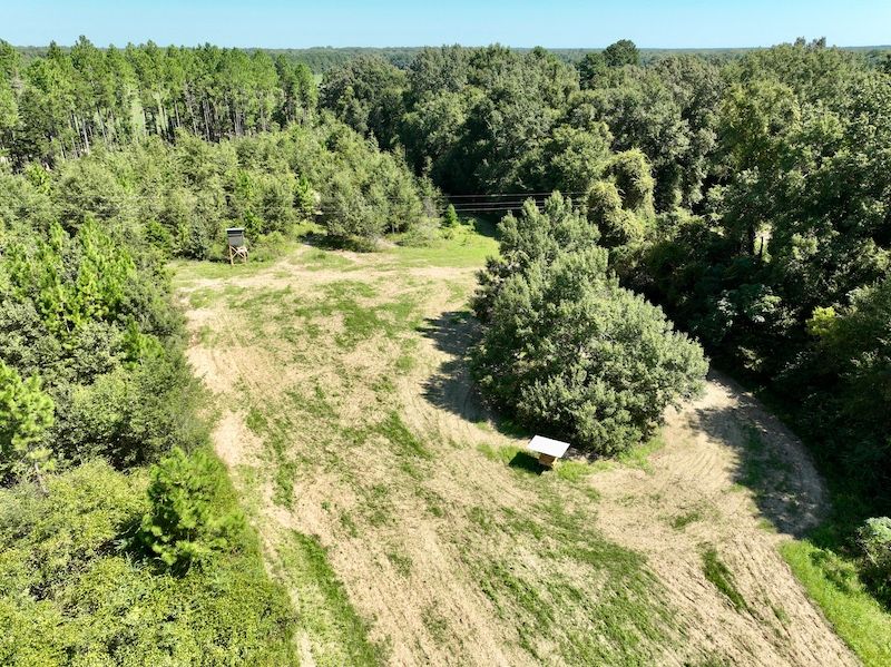0 Abbeville Hwy, Pineview, GA 31071 | LandWatch
