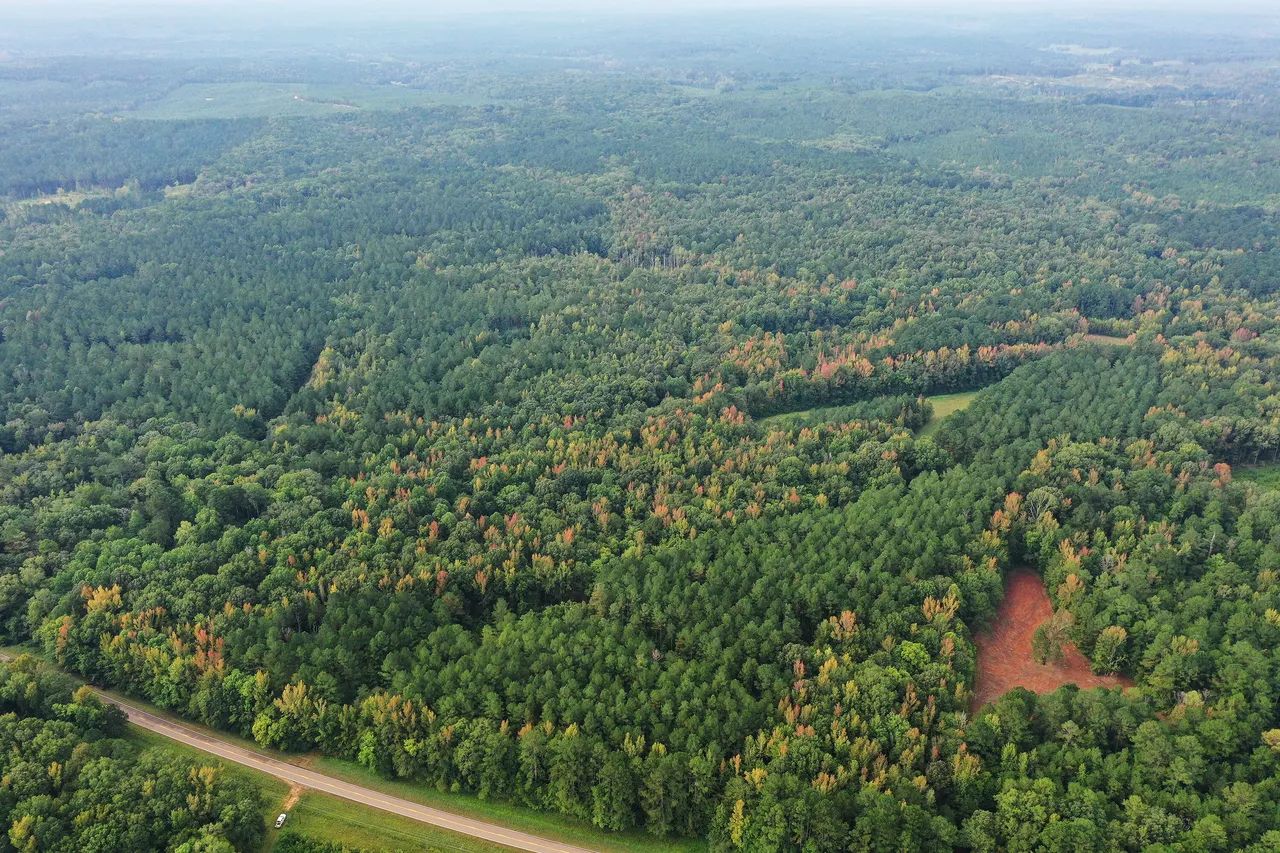 HWY 407, Kilmichael, MS 39747 | LandWatch