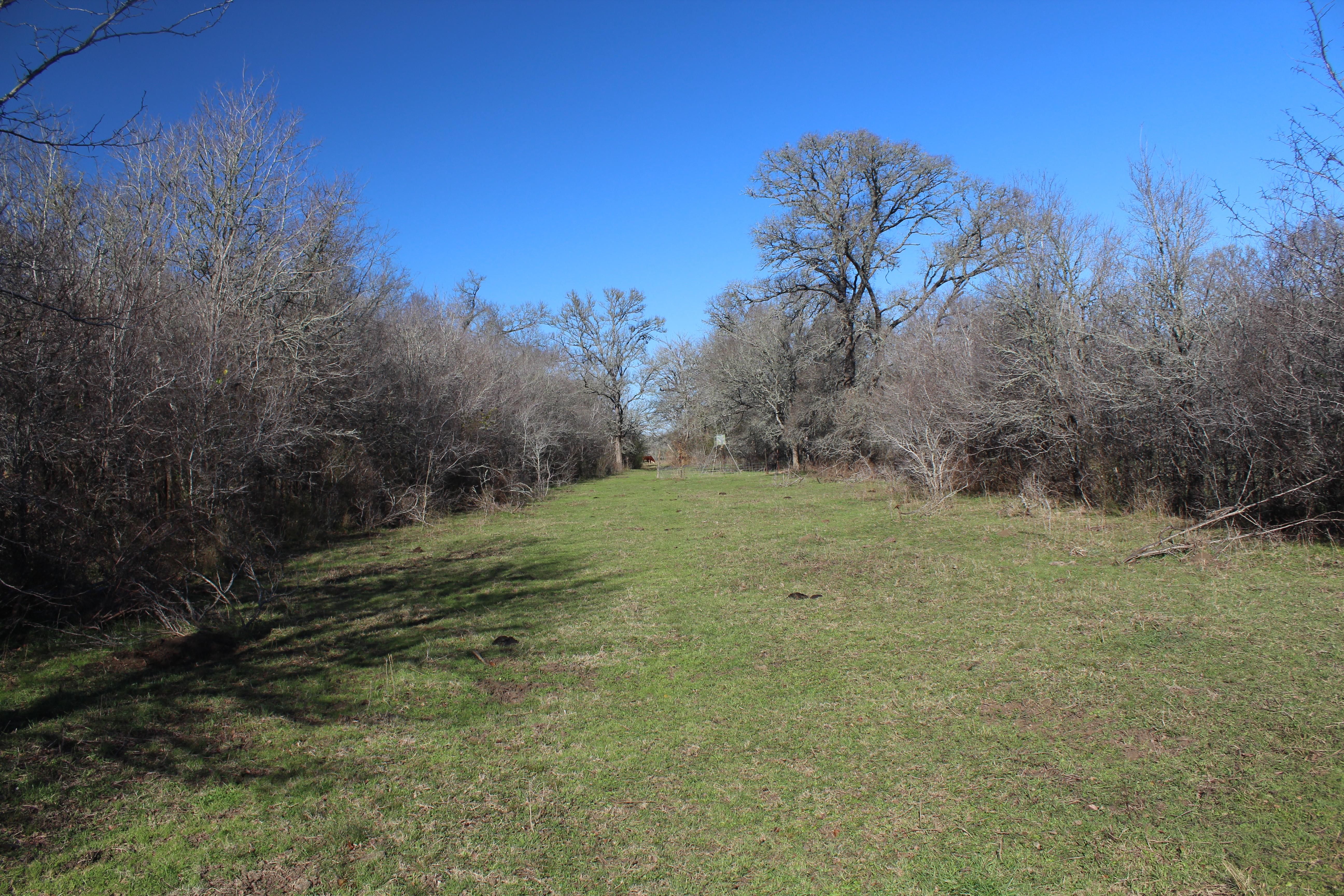 1223 County Road 429, Dime Box, TX 77853 | LandWatch