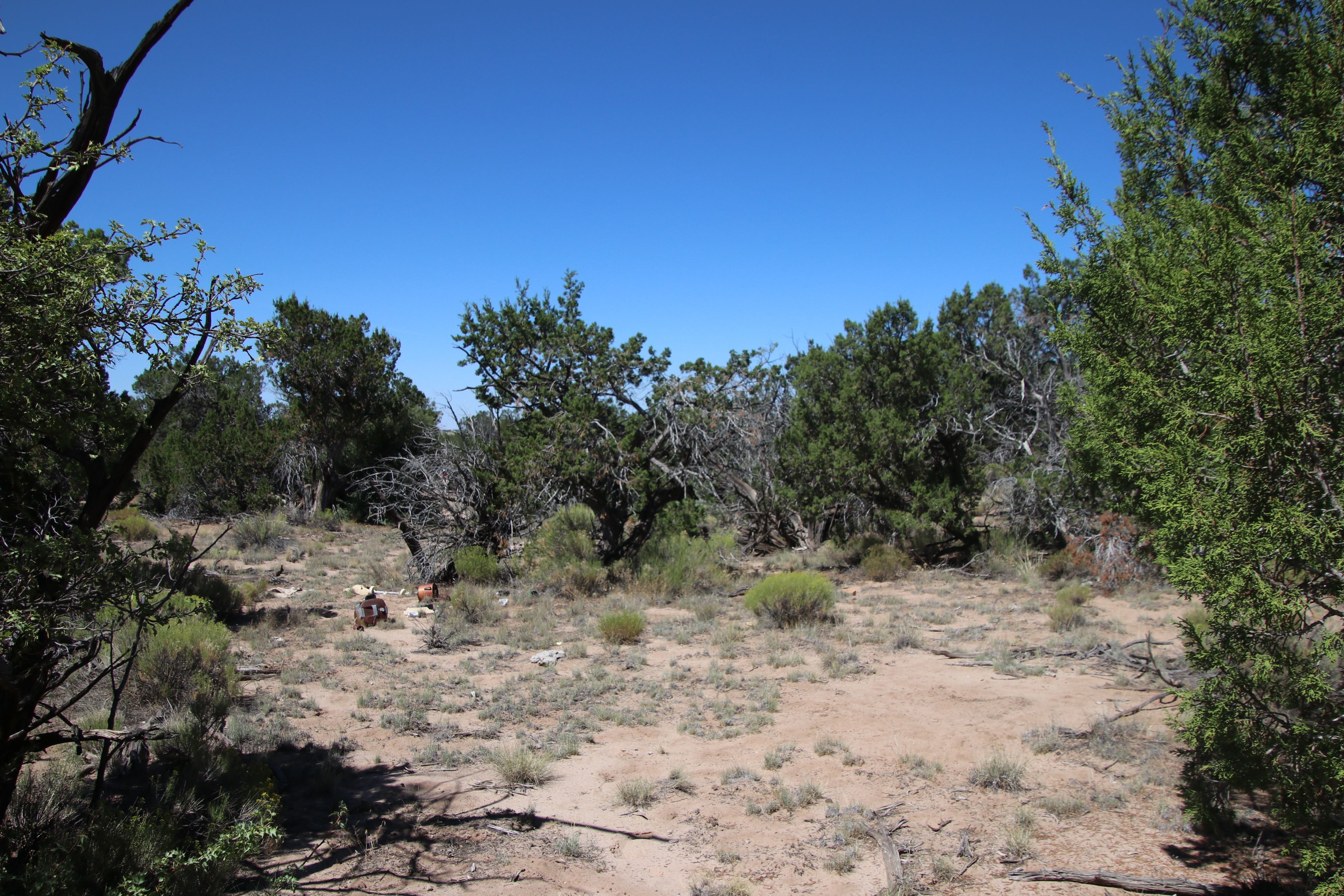 N7421, Sanders, AZ 86502 | LandWatch