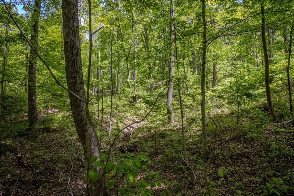 0 Kinzer Road, Bainbridge, OH 45612 | MLS: 225017179 | LandWatch