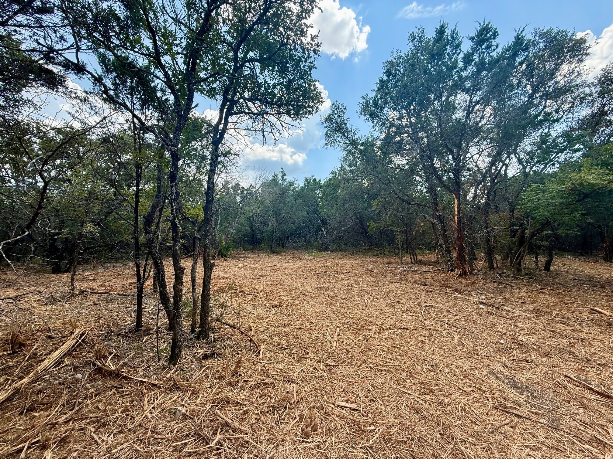TBD FM 708, Clifton, TX 76634 | MLS: 21054137 | LandWatch