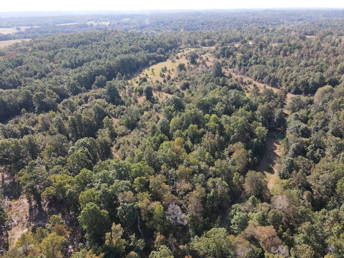 643 West Spring Hill Road, Oxford, AR 72565 | LandWatch