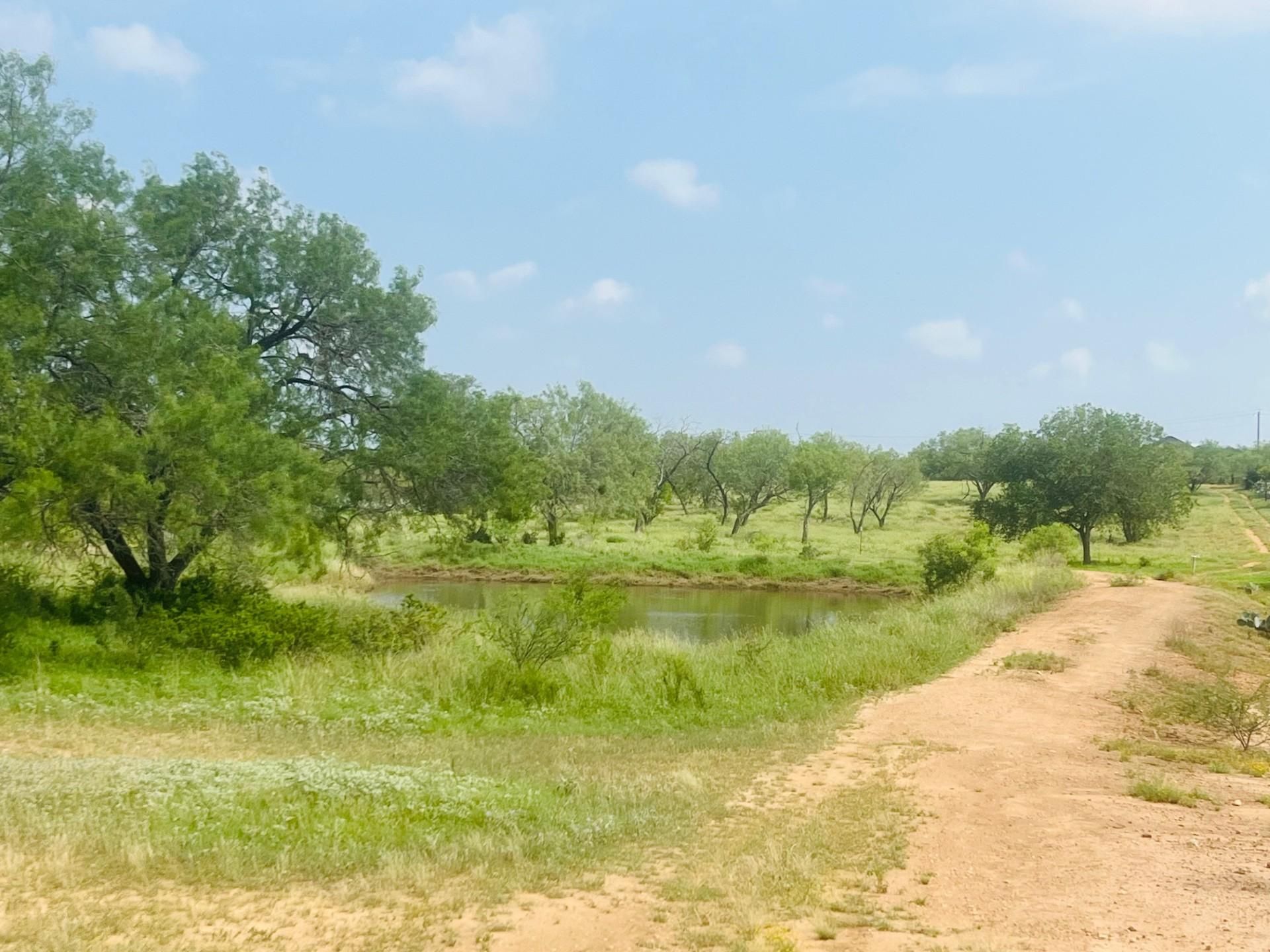 FM 462, Moore, TX 78057 | LandWatch