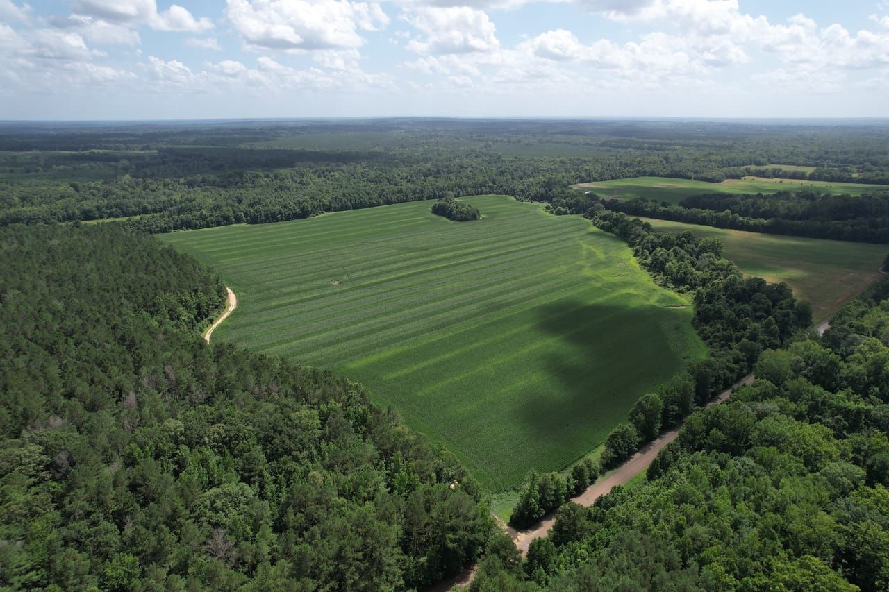 Attala Road 4110, Sallis, MS 39160 | LandWatch