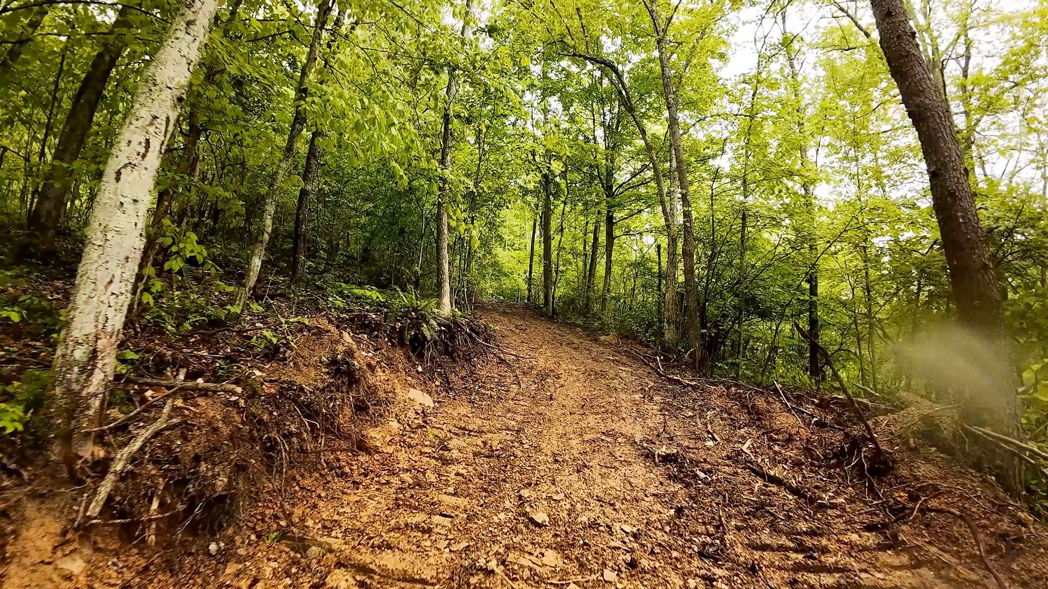 County Road 4, Pedro, OH 45659 | MLS: Lawrence County Ohio Land for ...