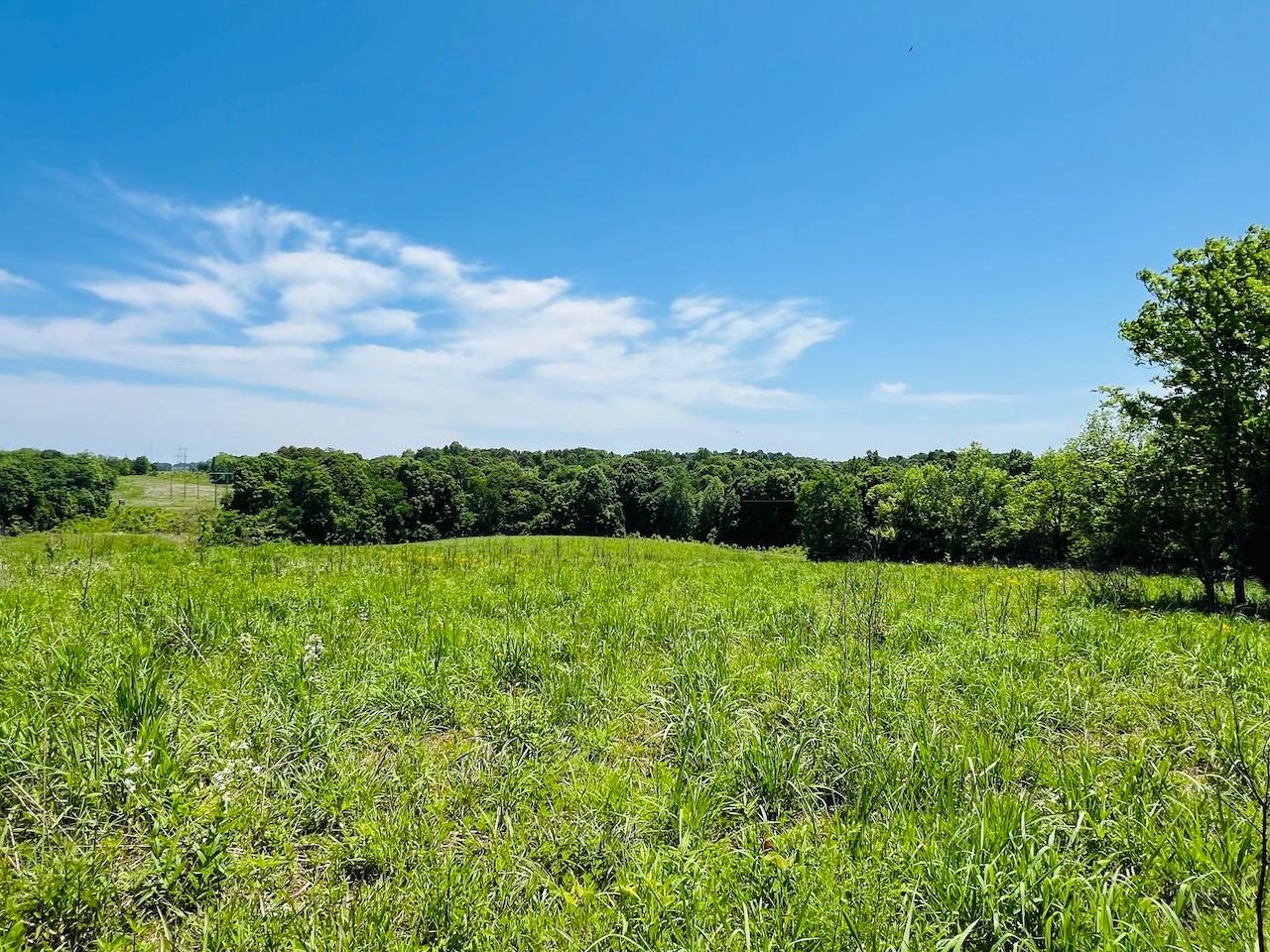 Skillman Monarch Ln, Hardinsburg, KY 40143 | LandWatch