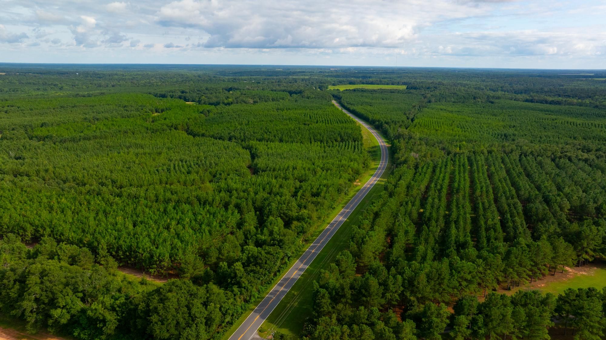 Ben Williams Rd, Preston, GA 31824 | LandWatch